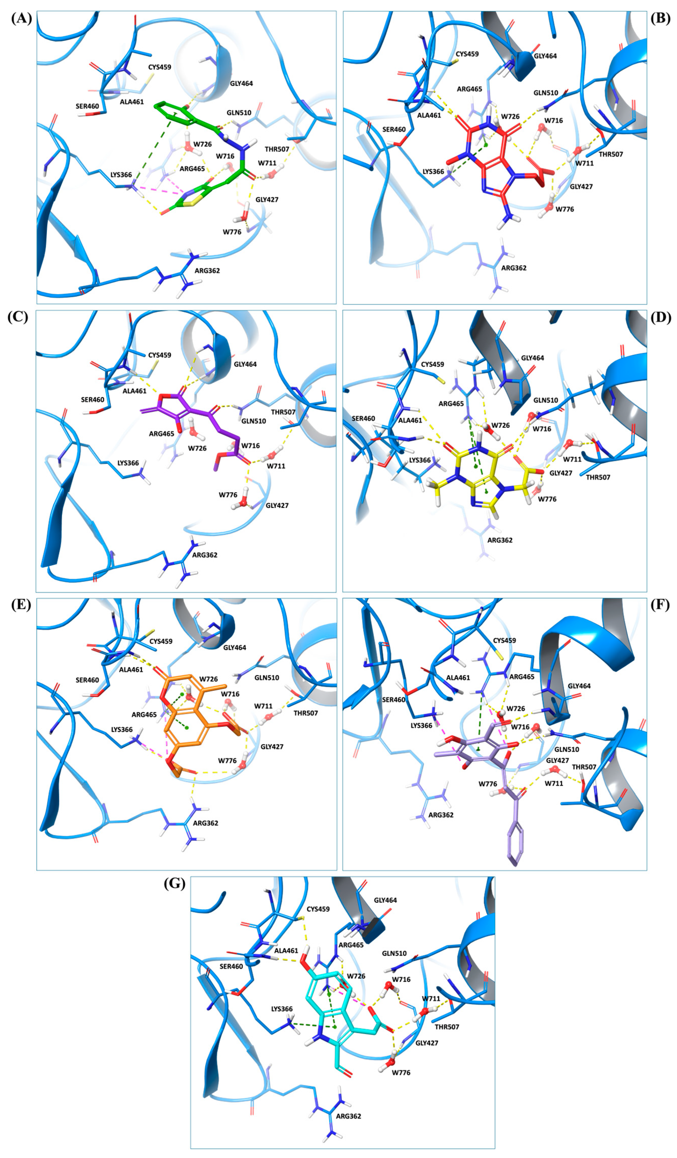 A Multi-Step Computational Workflow for Screening and Prioritizing SHP2 ...