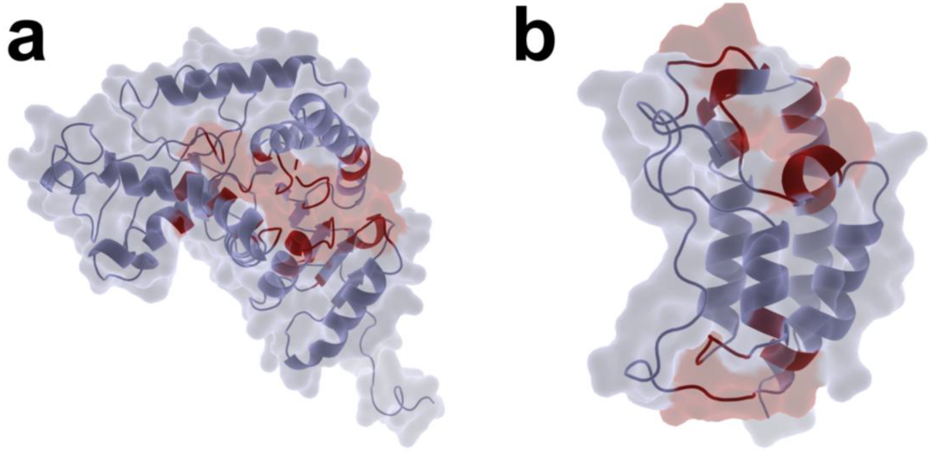 Computational Discovery of Dual-Target LDHA/BRD4 Inhibitors Targeting ...