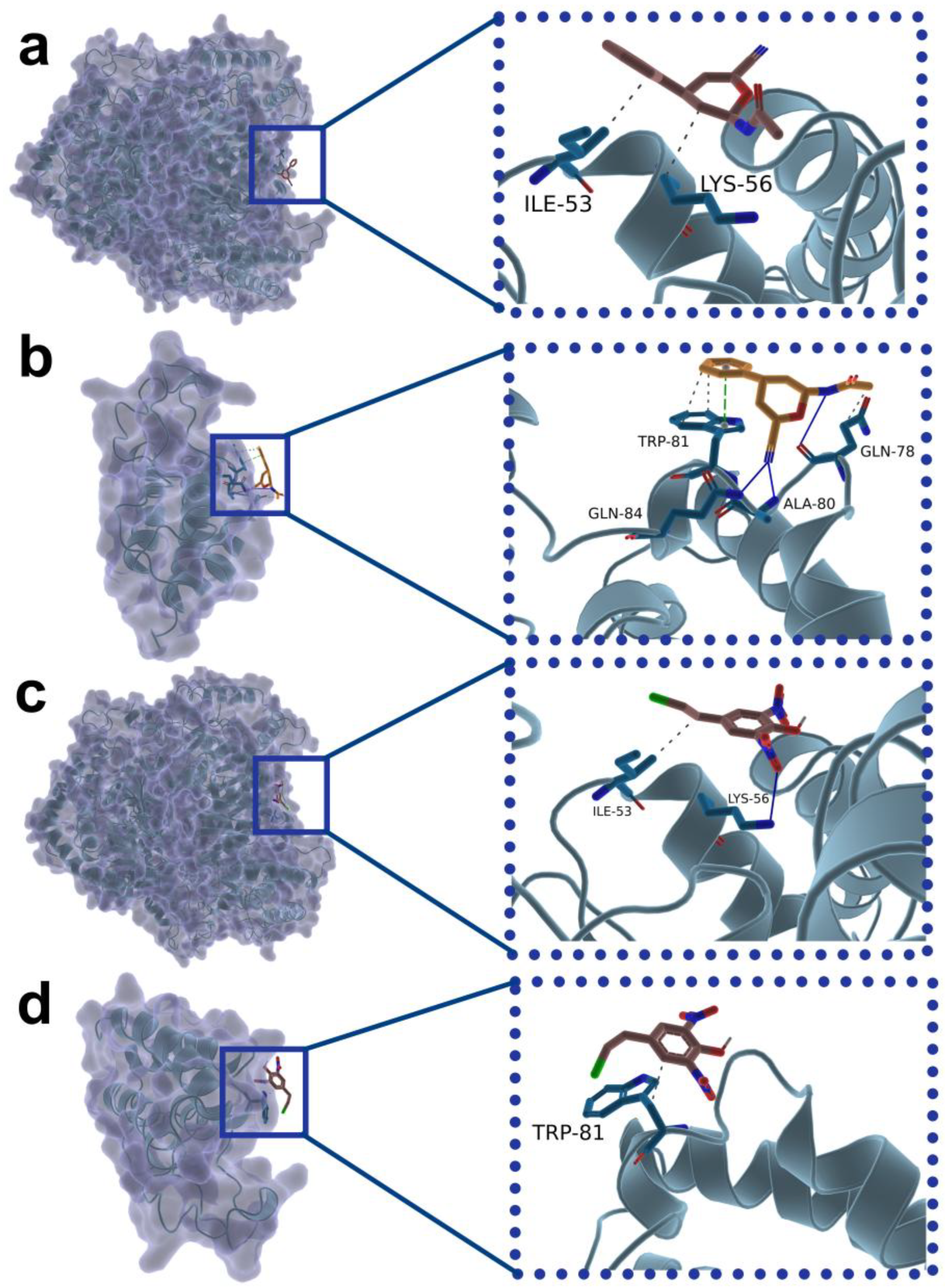 Computational Discovery of Dual-Target LDHA/BRD4 Inhibitors Targeting ...