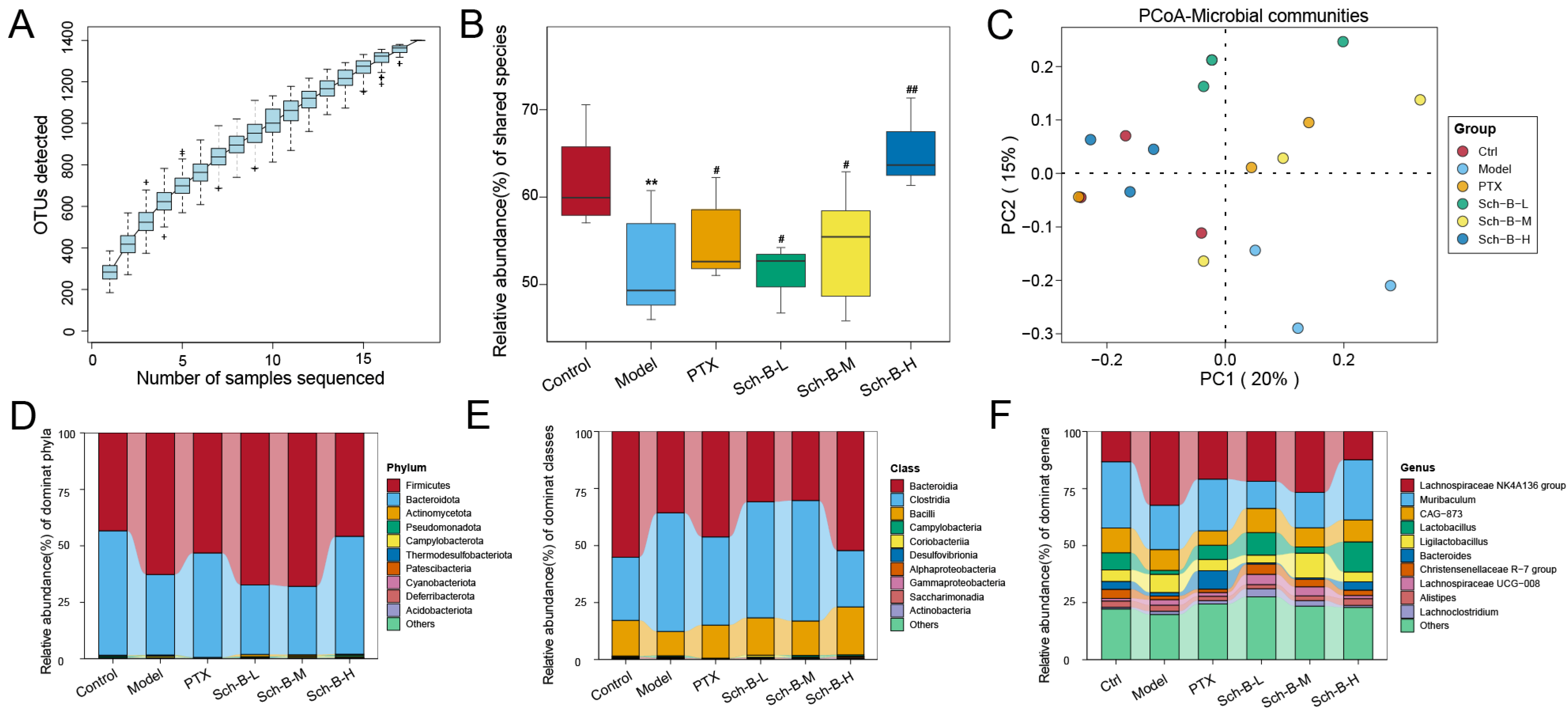 Schisandrin B Exerts Radiosensitizing Effects on Breast Cancer via Dual ...