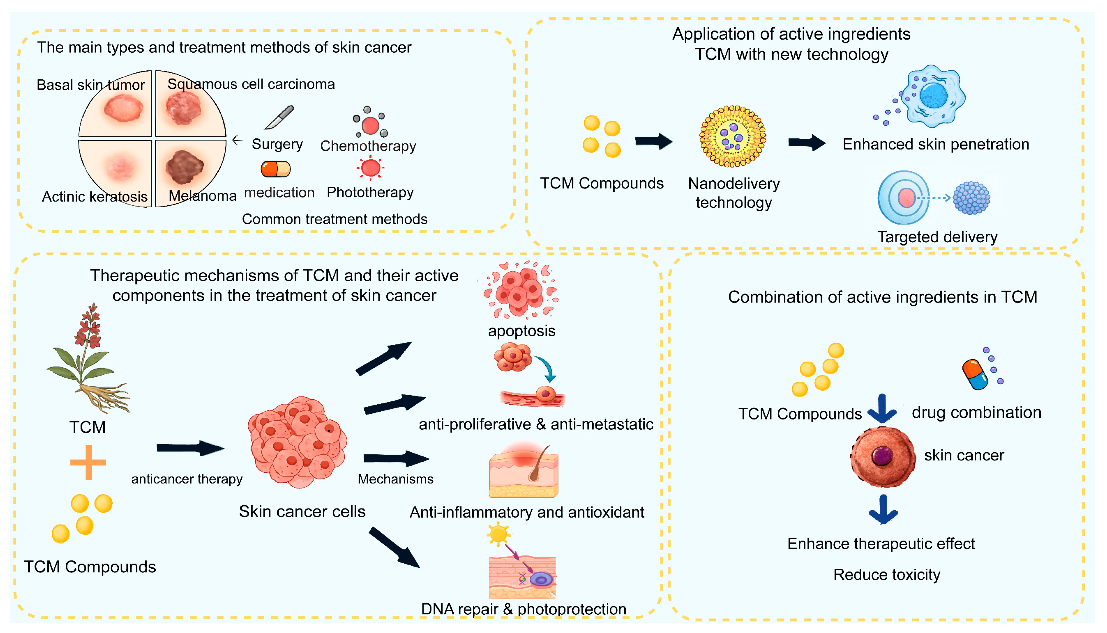 Targeting Skin Cancer with Natural Bioactive Compounds: From Molecular ...