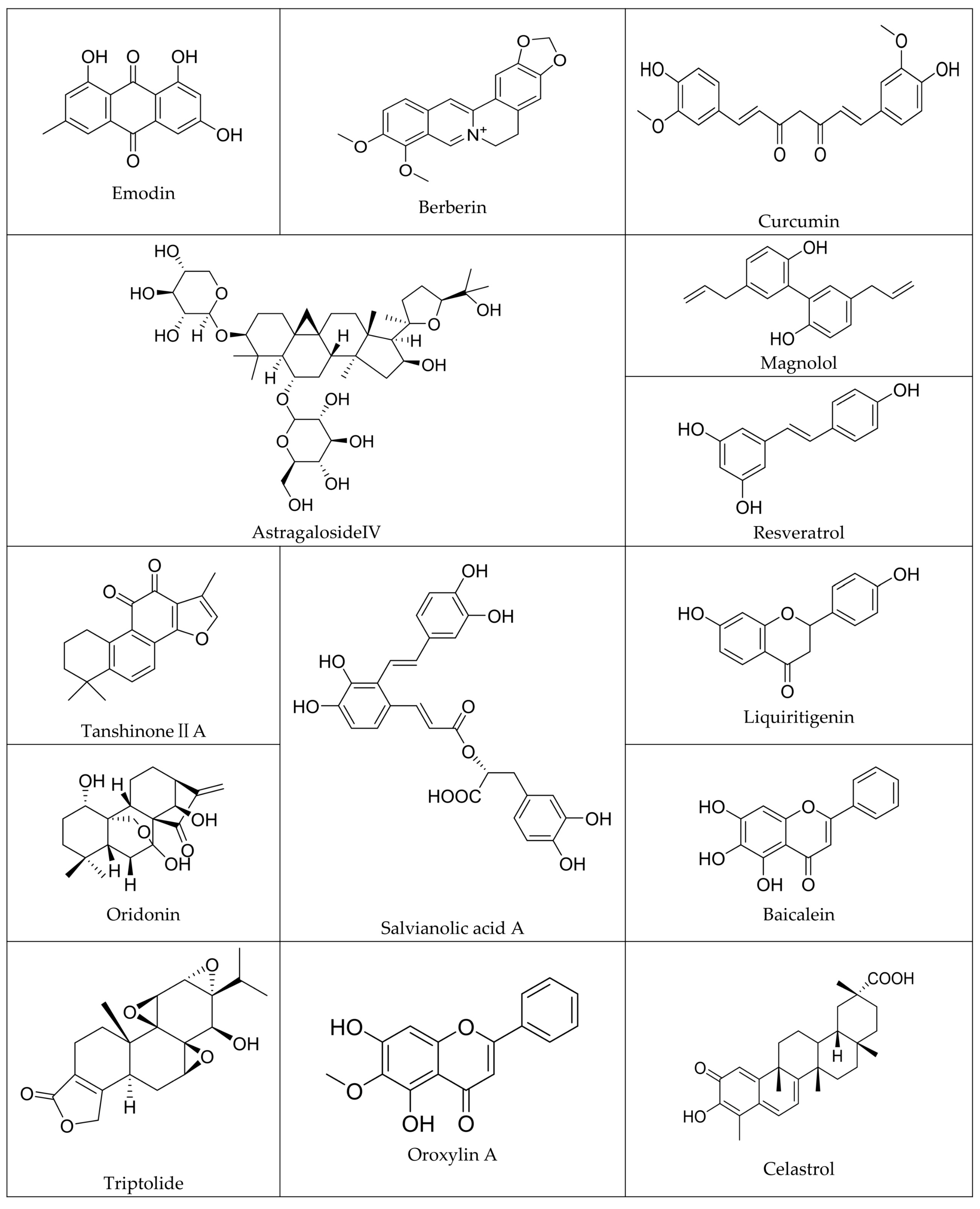 Targeting Skin Cancer with Natural Bioactive Compounds: From Molecular ...