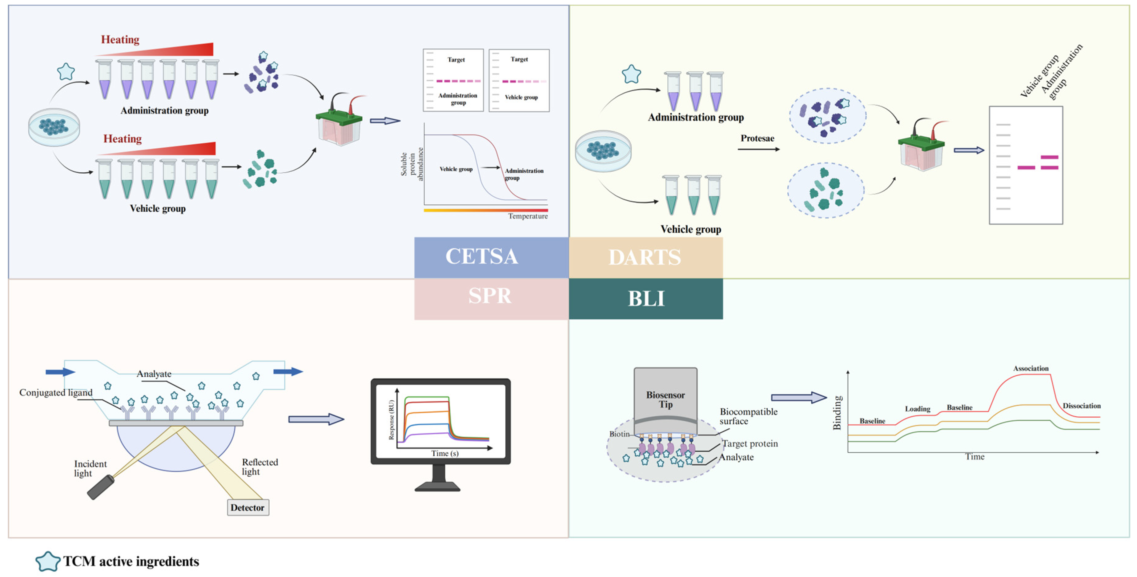 Multi-Dimensional Mechanisms and Druggability Optimization Strategies ...
