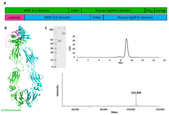 A Strategy for Selective Deletion of Autoimmunity-Related T Cells by ...