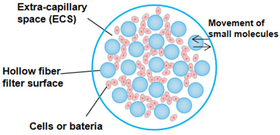 The Application of Hollow Fiber Cartridge in Biomedicine