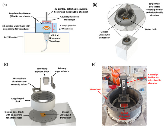 Plug and Pop: A 3D-Printed, Modular Platform for Drug Delivery Using ...