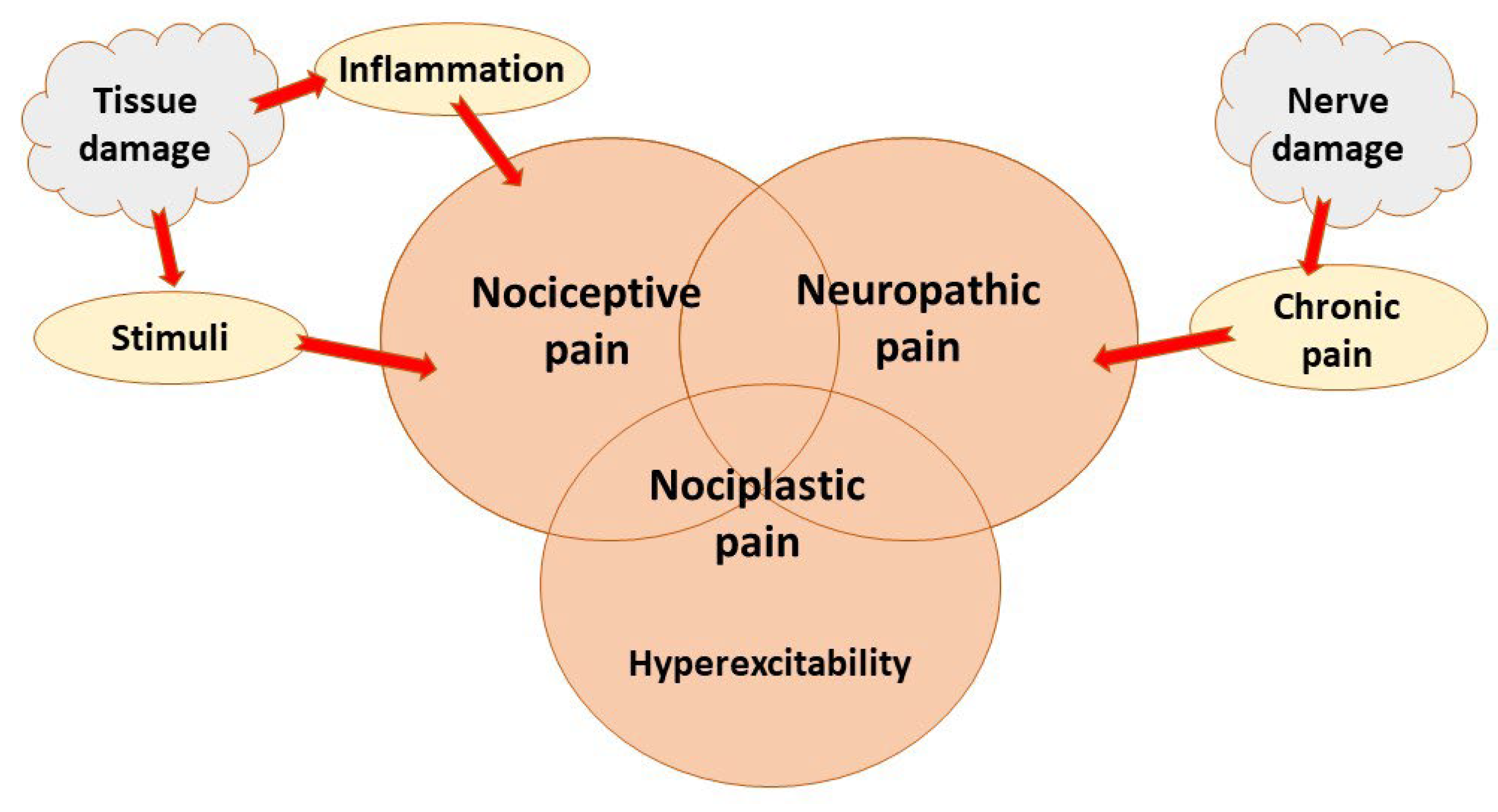 Natural Herbal Non Opioid Topical Pain Relievers Comparison With Natural Herbal Non Opioid Topical Pain Relievers Comparison With
