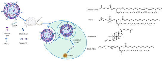 Development of a Library of Disulfide Bond-Containing Cationic Lipids for mRNA Delivery