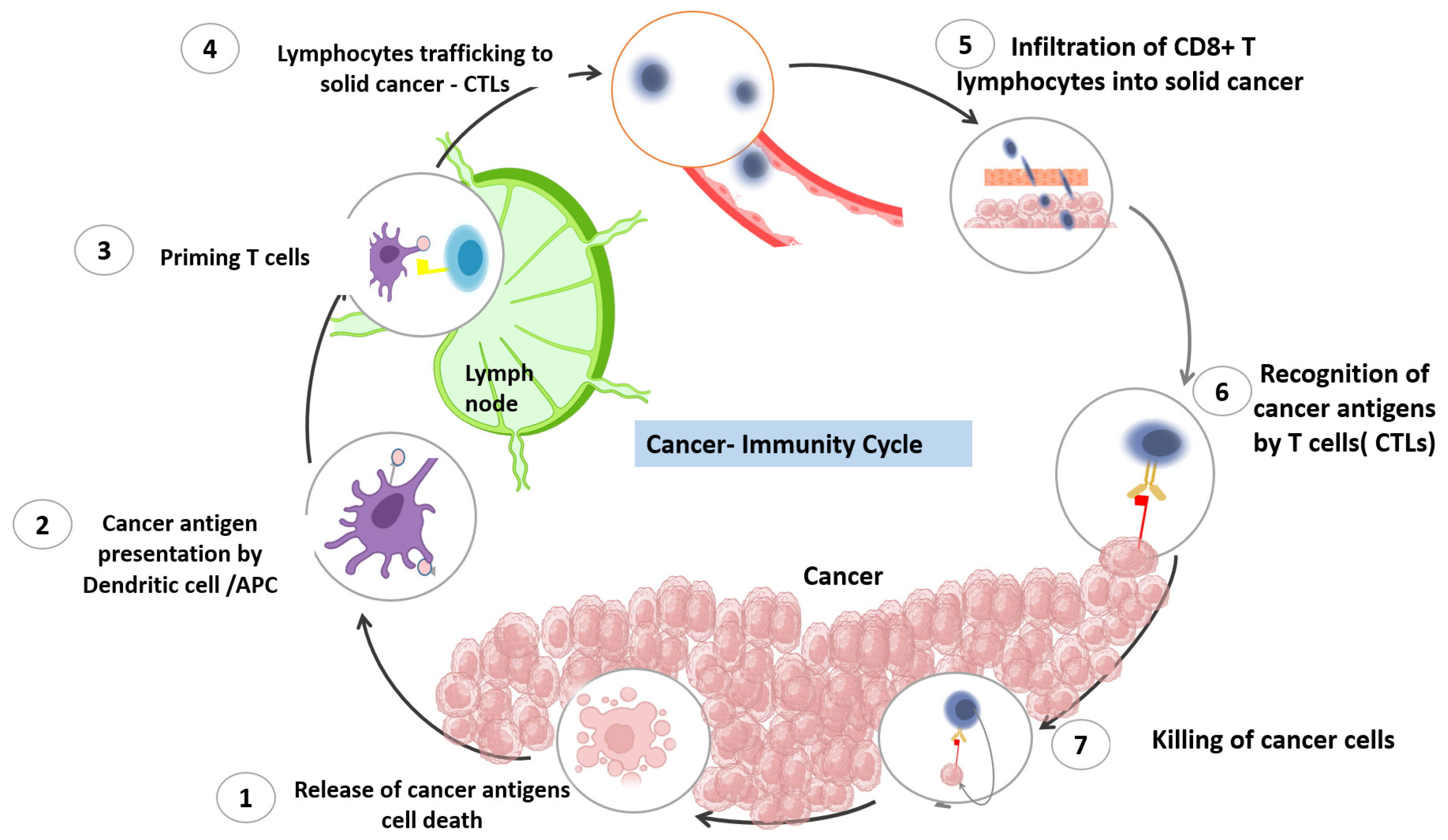 Pharmaceutics Free Full Text Cancer Resistance To Immunotherapy Pharmaceutics Free Full Text Cancer Resistance To Immunotherapy