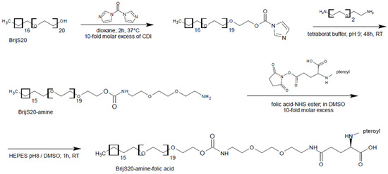 A Versatile Brij-Linker for One-Step Preparation of Targeted Nanoparticles