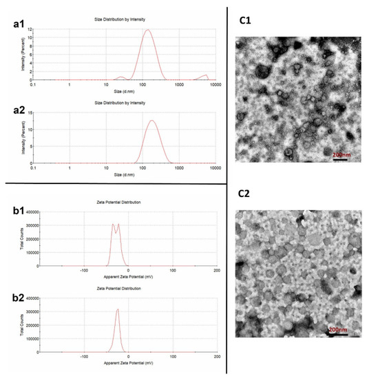 FOF1-ATPase Motor-Embedded Chromatophore as Drug Delivery System ...