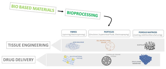 Pharmaceutics | Free Full-Text | Green Routes for Bio-Fabrication in ...