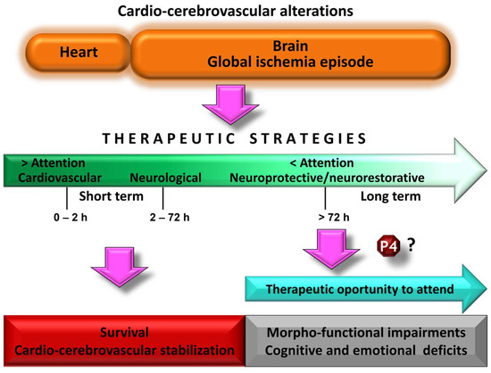 Neuroprotective–Neurorestorative Effects Induced by Progesterone on Global Cerebral Ischemia: A ...