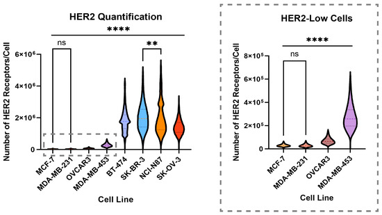 Surface-Available HER2 Levels Alone Are Not Indicative of Cell Response ...
