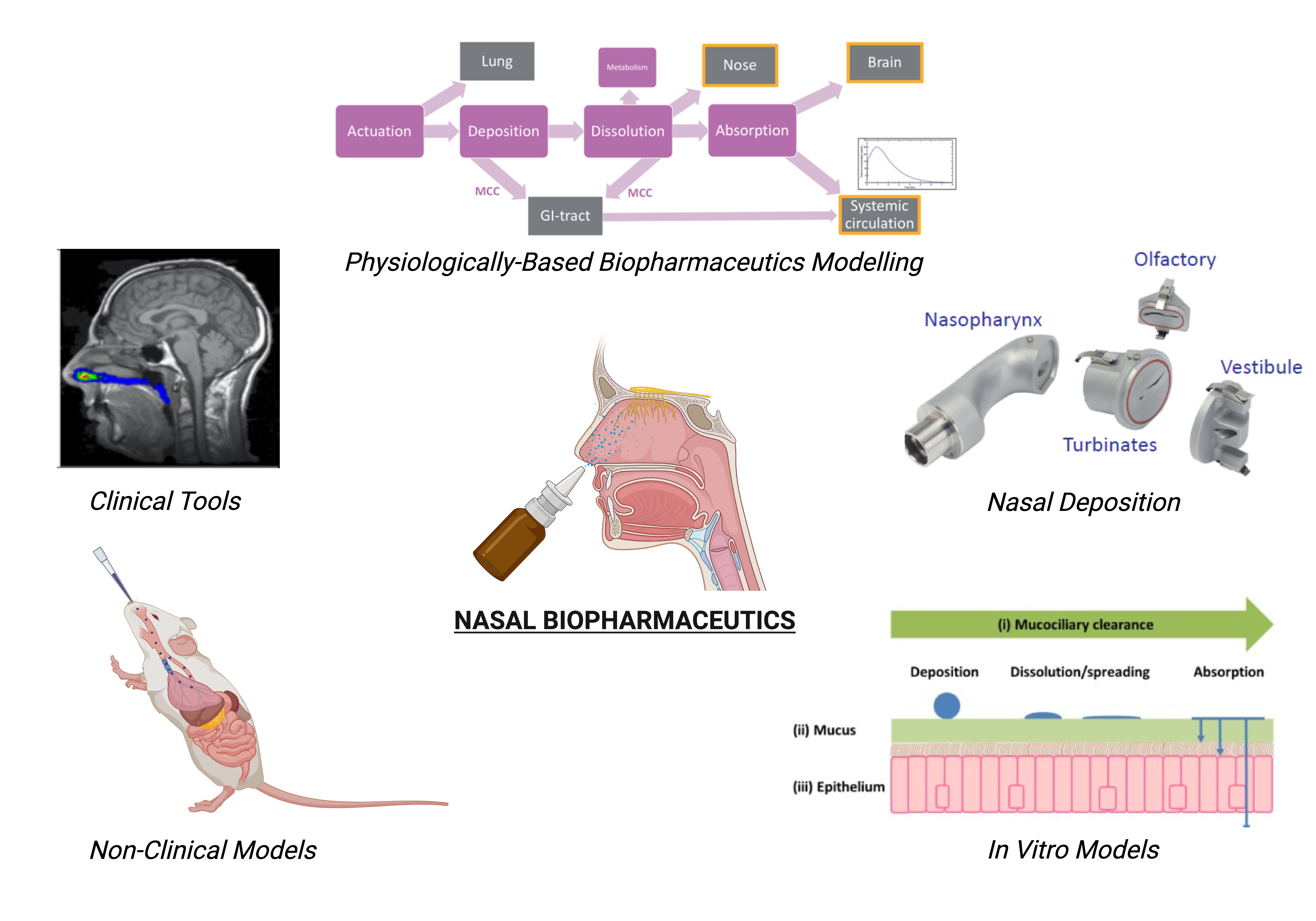 Advances in Nasal Biopharmaceutics to Support Product Development and ...