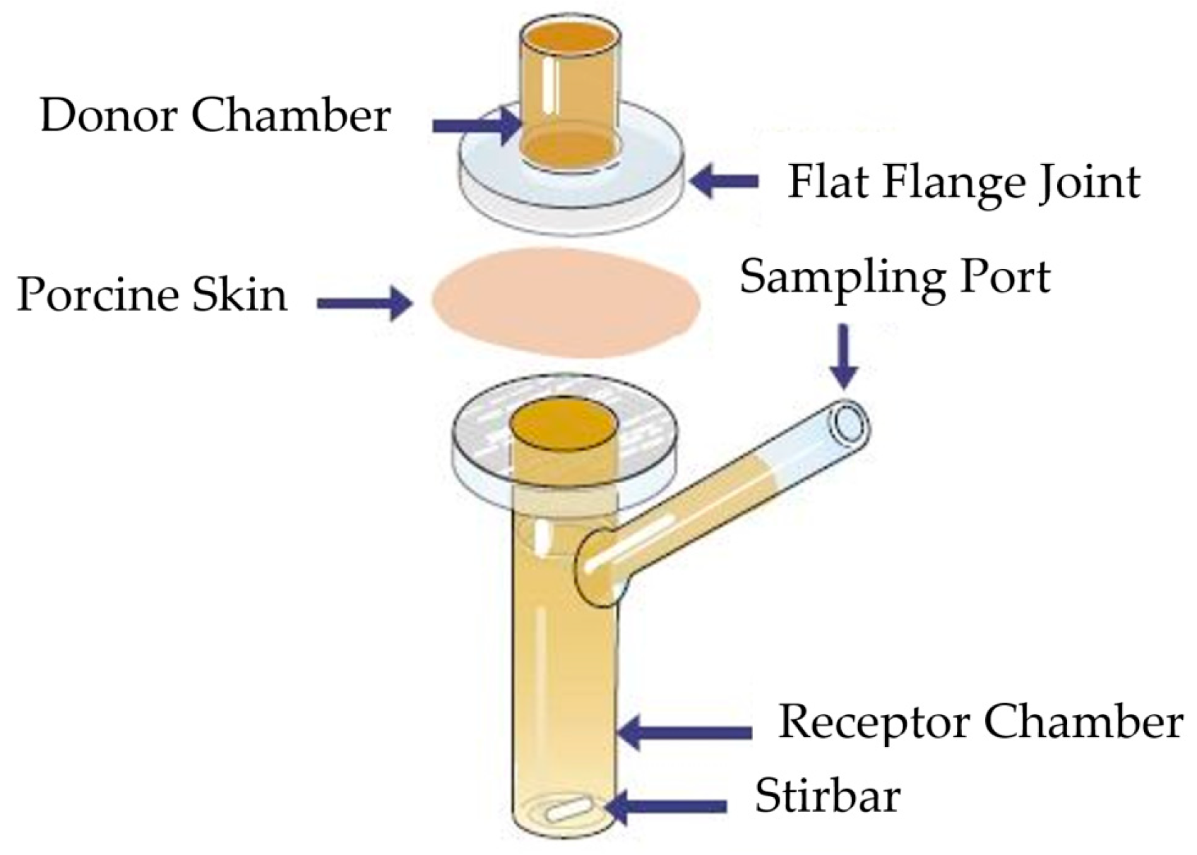 A Four-Layer Numerical Model for Transdermal Drug Delivery: Parameter ...