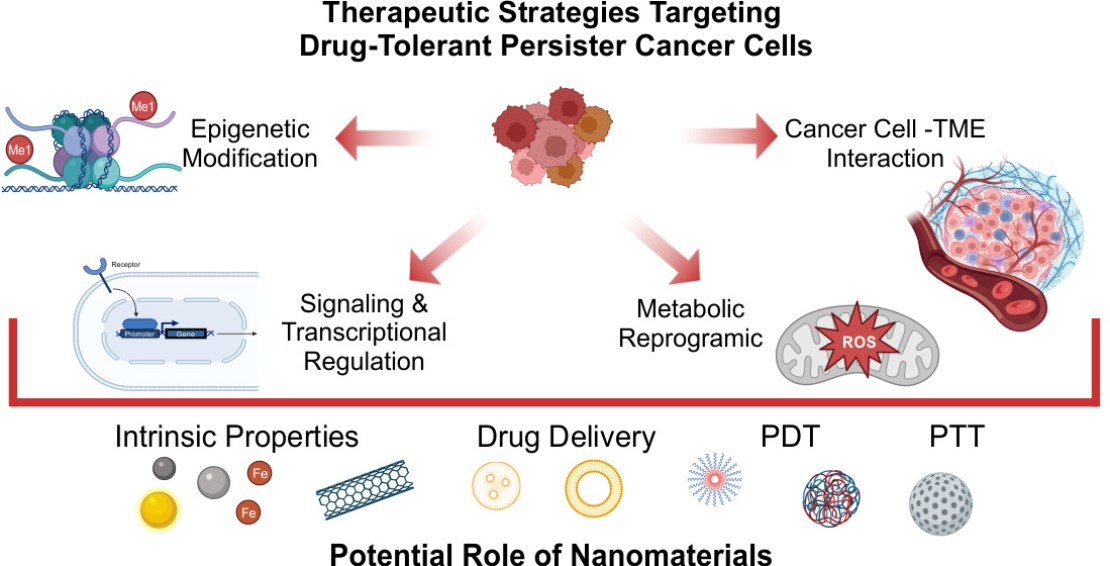 Targeting Drug-Tolerant Persister Cancer Cells: Can Nanomaterial-Based ...