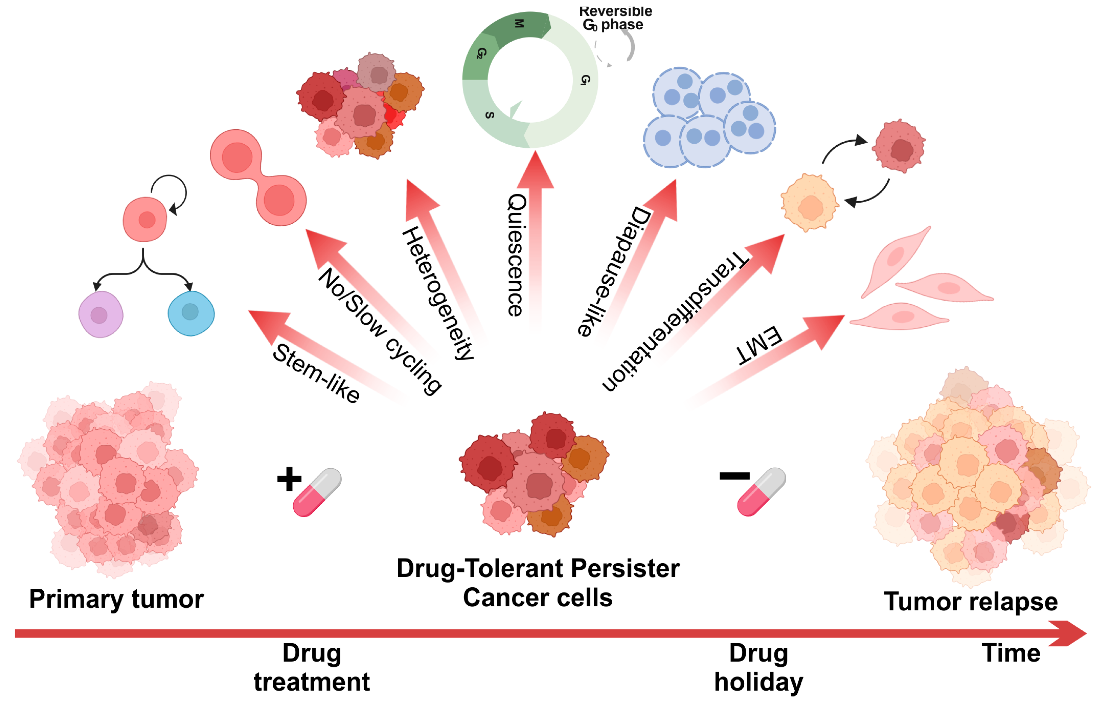 Targeting Drug-Tolerant Persister Cancer Cells: Can Nanomaterial-Based ...