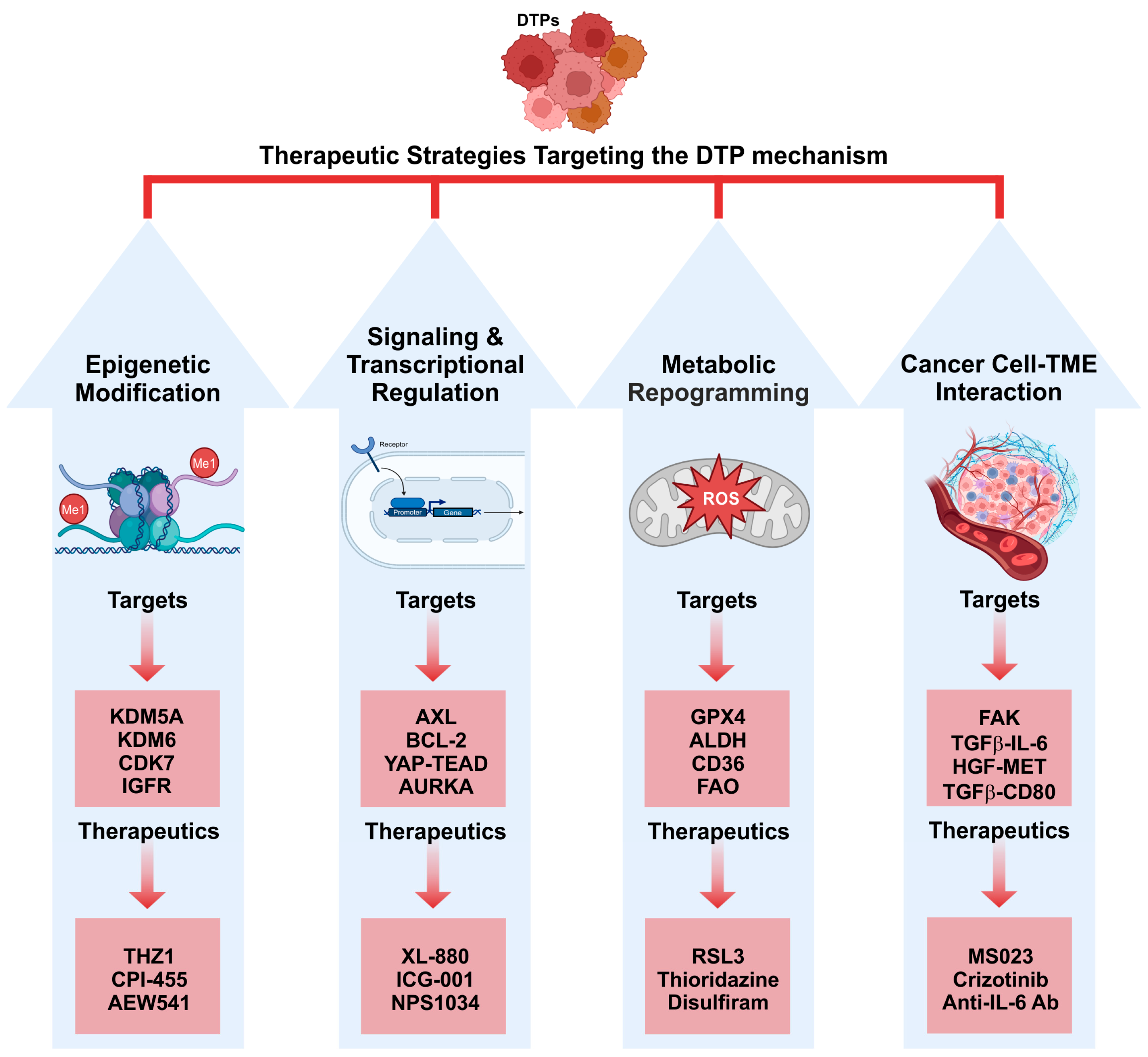 Targeting Drug-Tolerant Persister Cancer Cells: Can Nanomaterial-Based ...