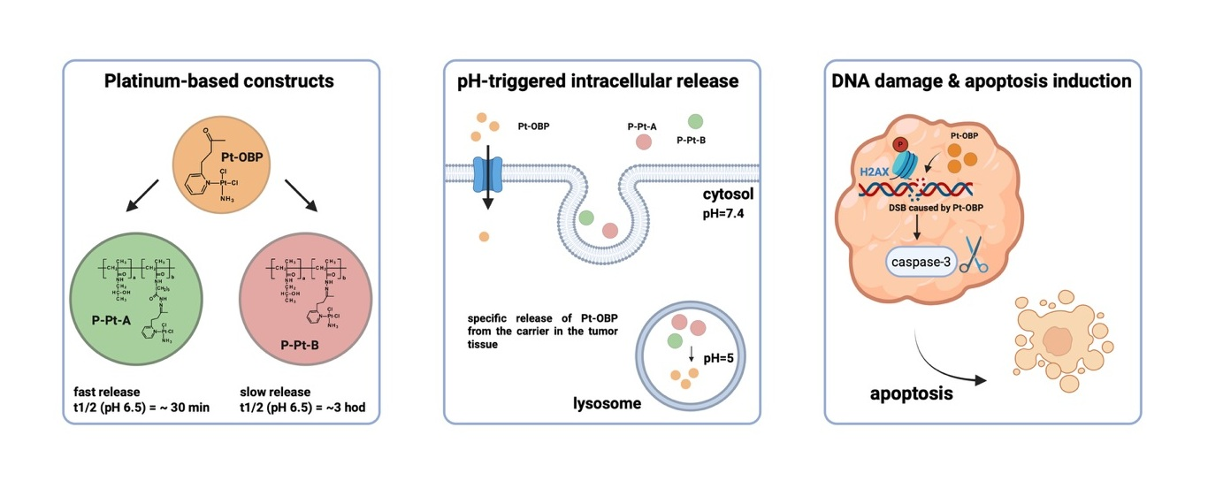 Stimuli-Sensitive Platinum-Based Anticancer Polymer Therapeutics ...