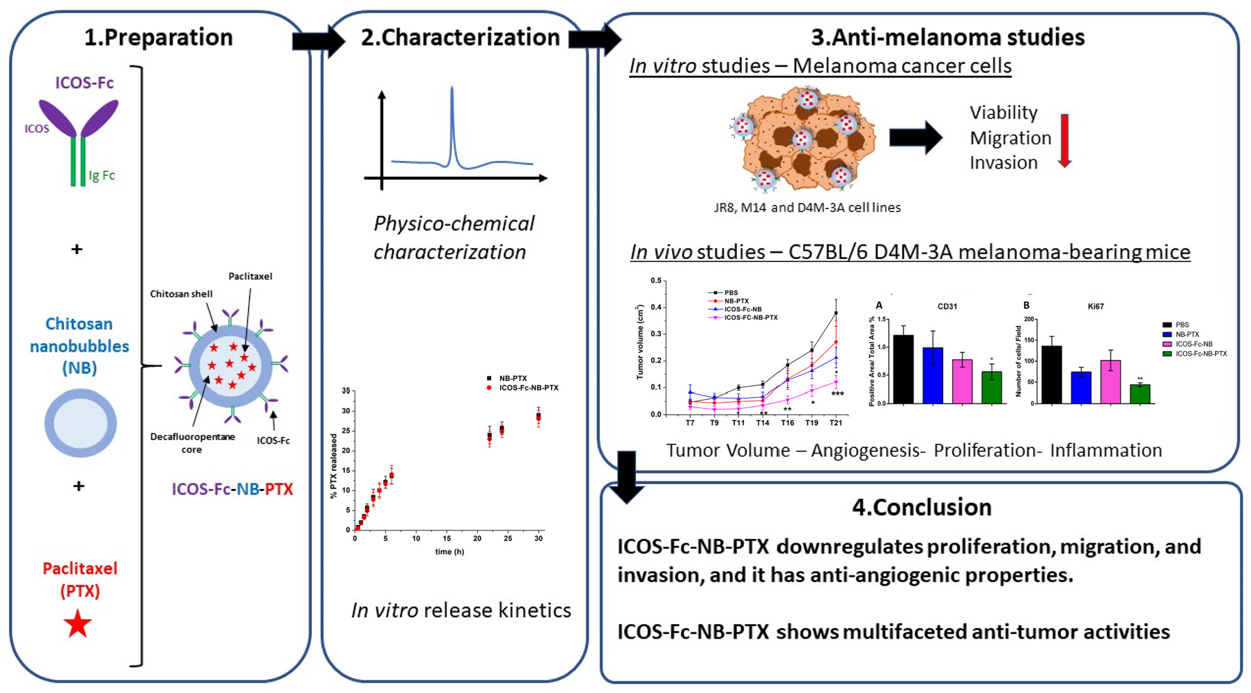 Exploring Anti-Neoplastic Activity of Chitosan Nanobubbles Decorated ...