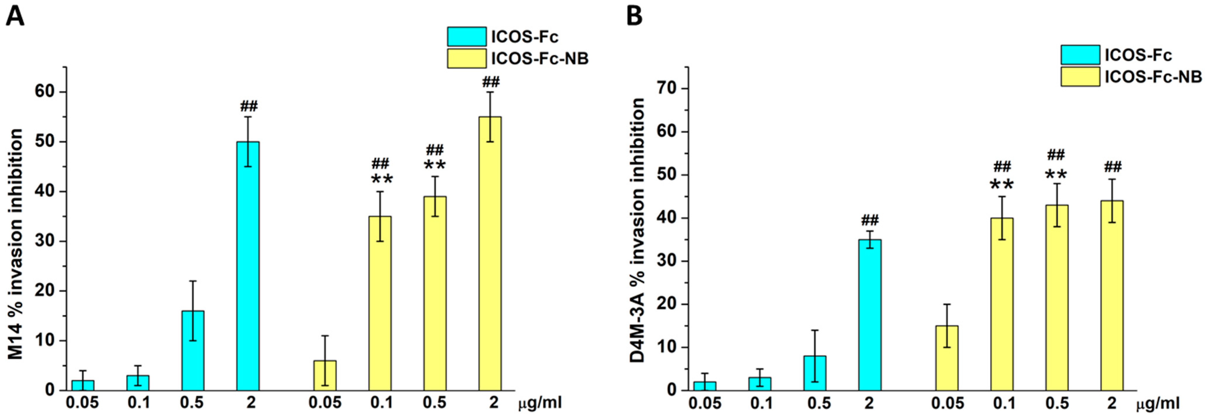 Exploring Anti-Neoplastic Activity of Chitosan Nanobubbles Decorated ...