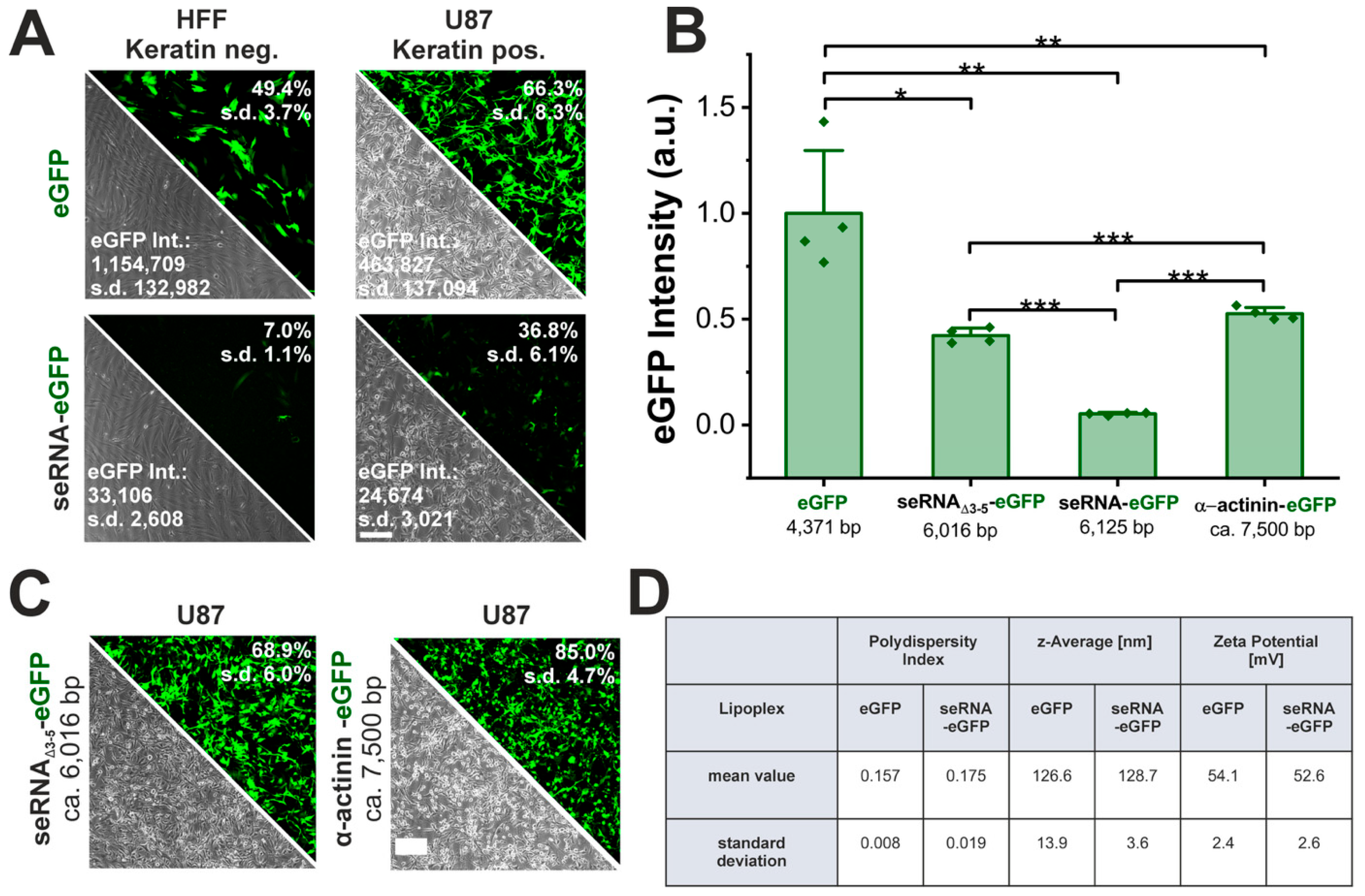 Robust Functionality and Regulation of Selectively Expressed RNA as AAV ...