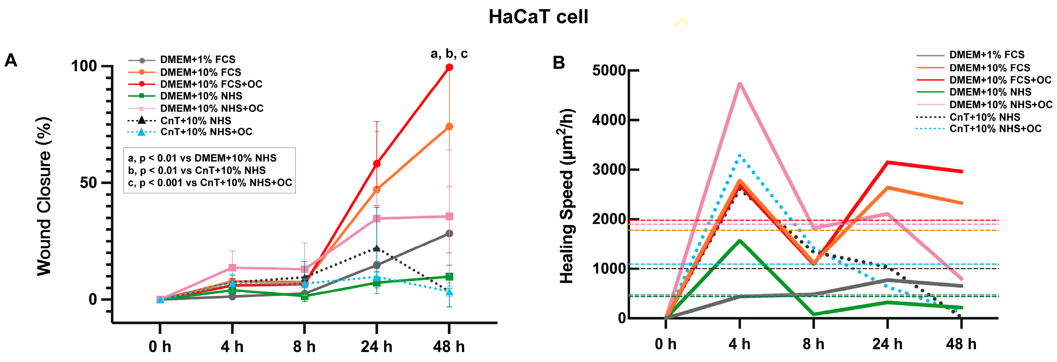 Improving the Culture of Human Skin Explants for Use in Preclinical ...