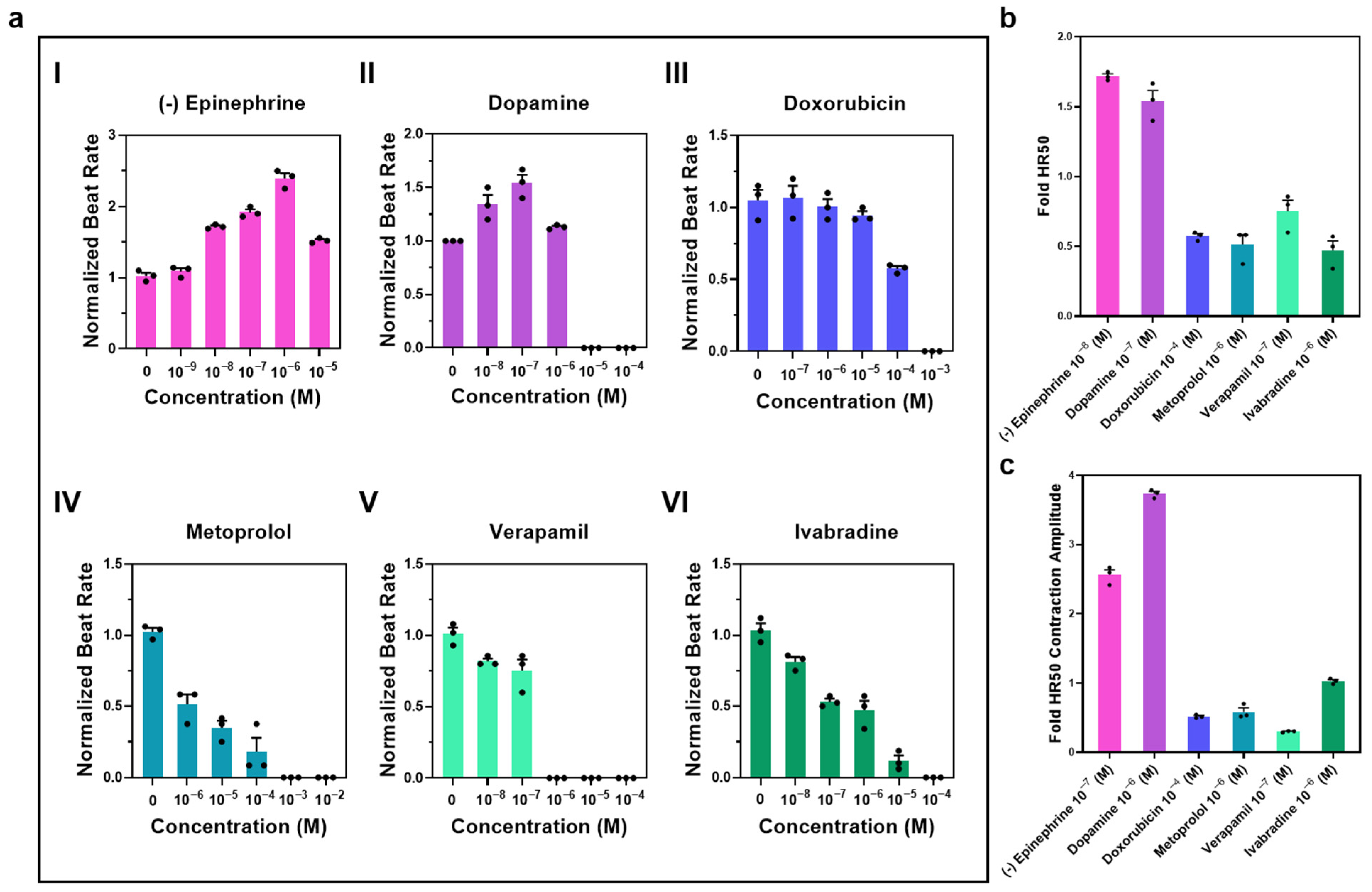 Engineering Human 3D Cardiac Tissues for Predictive Functional Drug ...