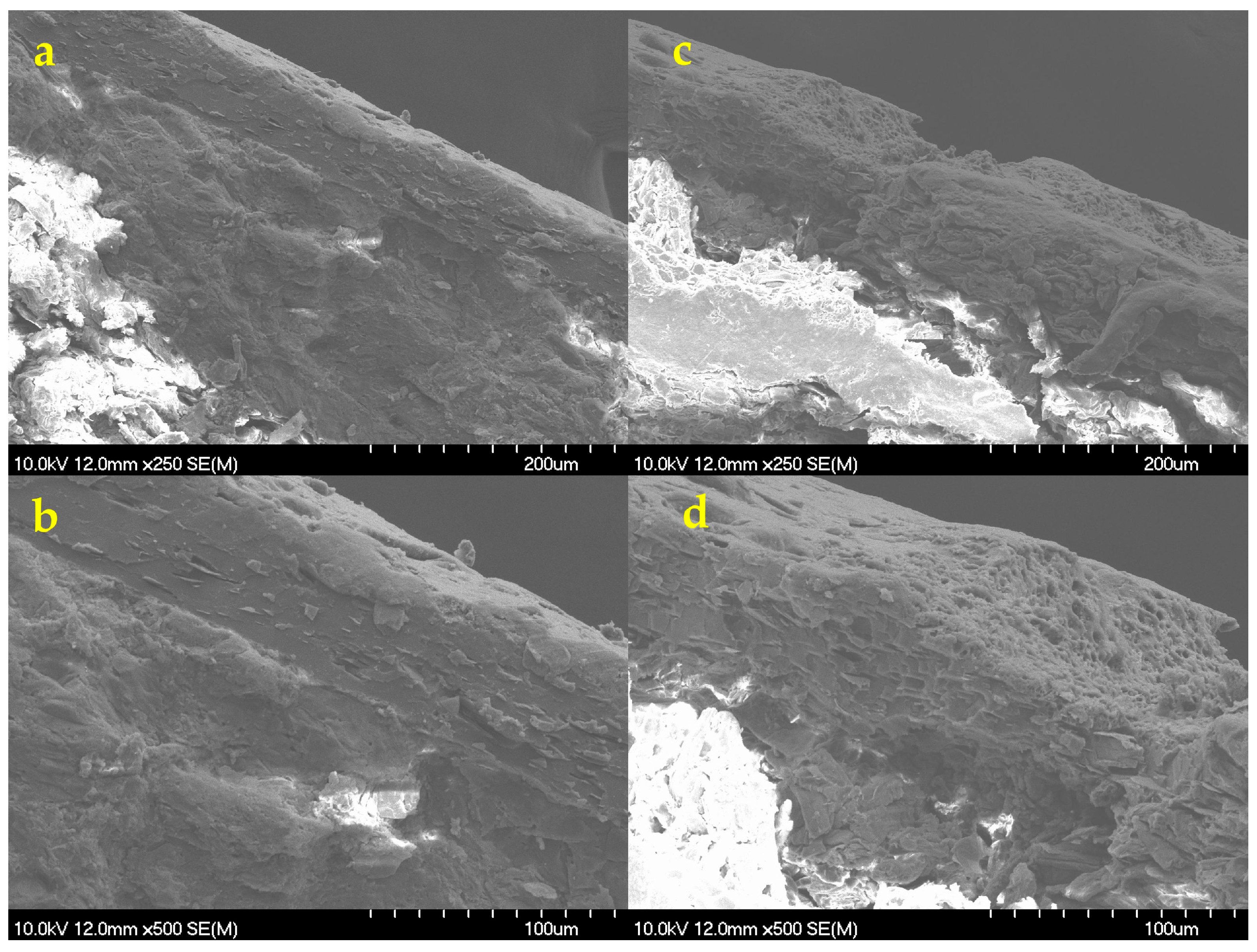 Laser-Based QR Code Marking on Double Film-Coated Tablets: Balancing ...