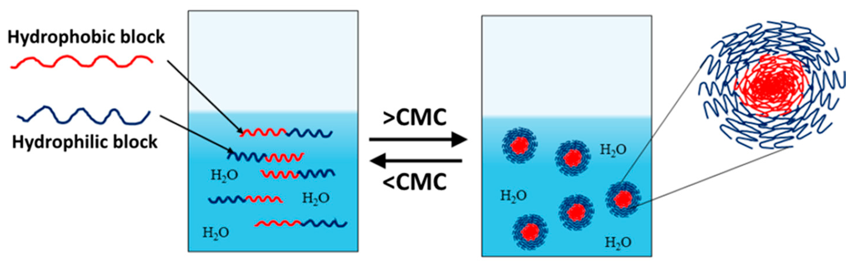 Advances in Polymer Micelles for Cancer Therapy: From Conventional to ...