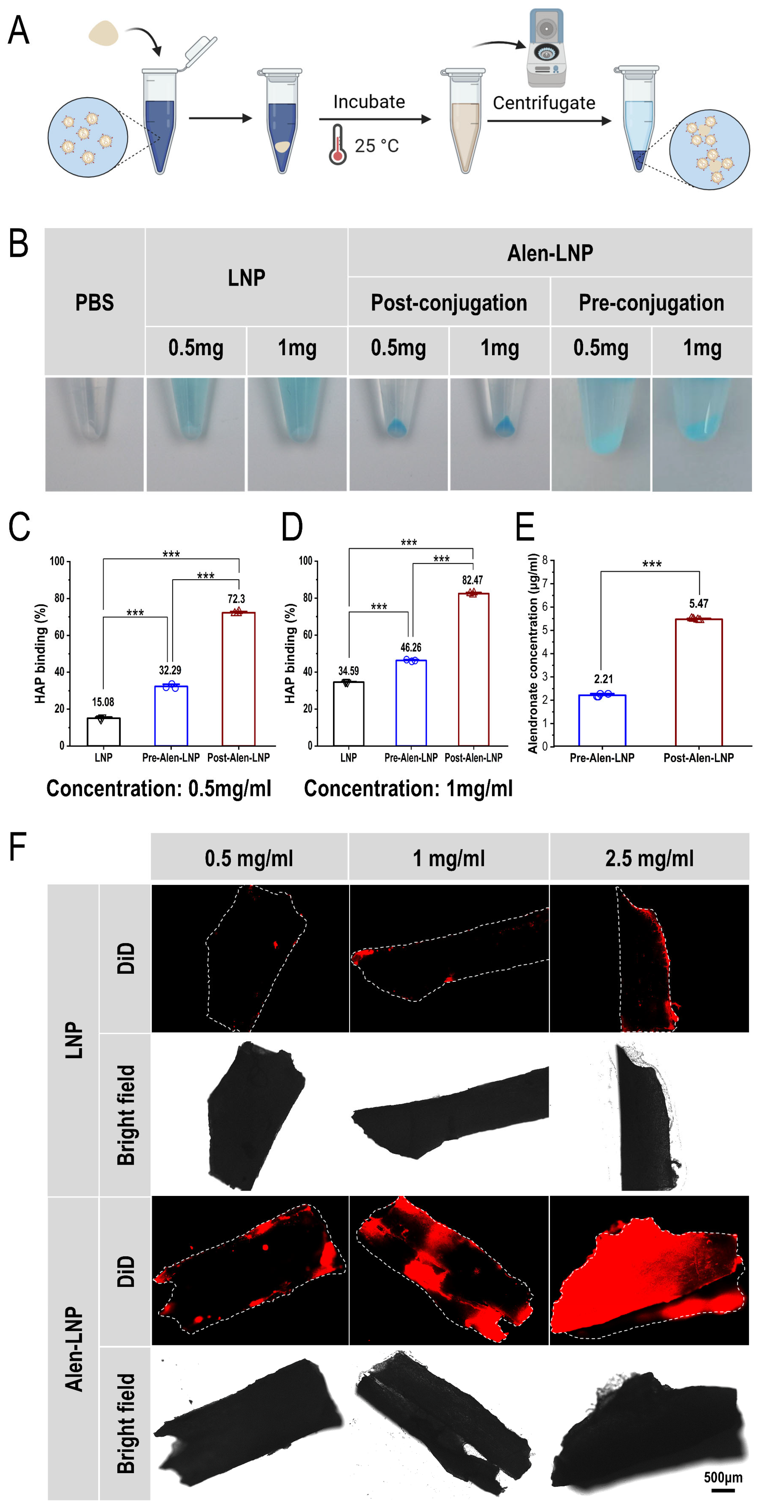 Microfluidic Fabrication of Alendronate-Modified Lipid Nanoparticles ...