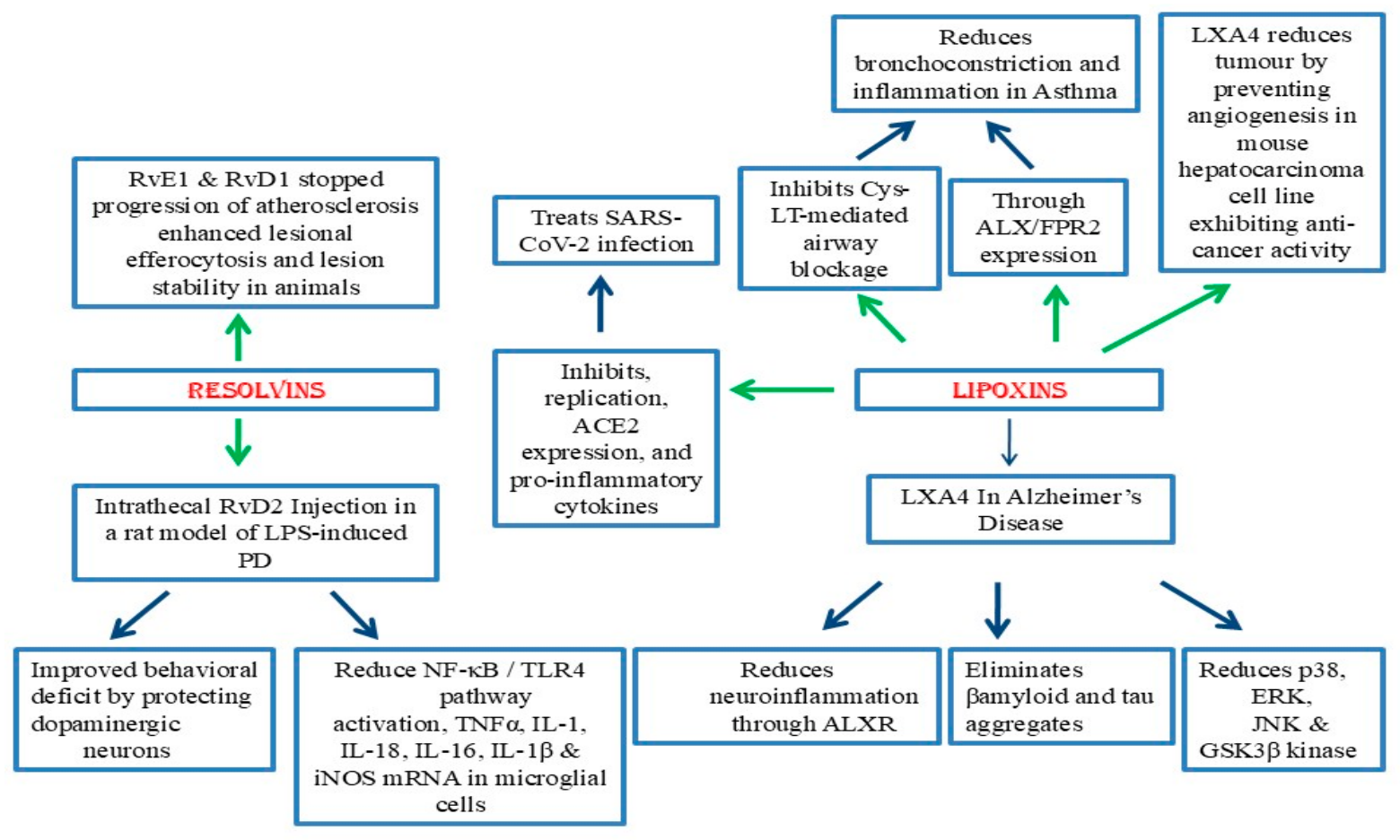 Bioactive Anti-Inflammatory Compounds and Therapeutic Strategies for ...