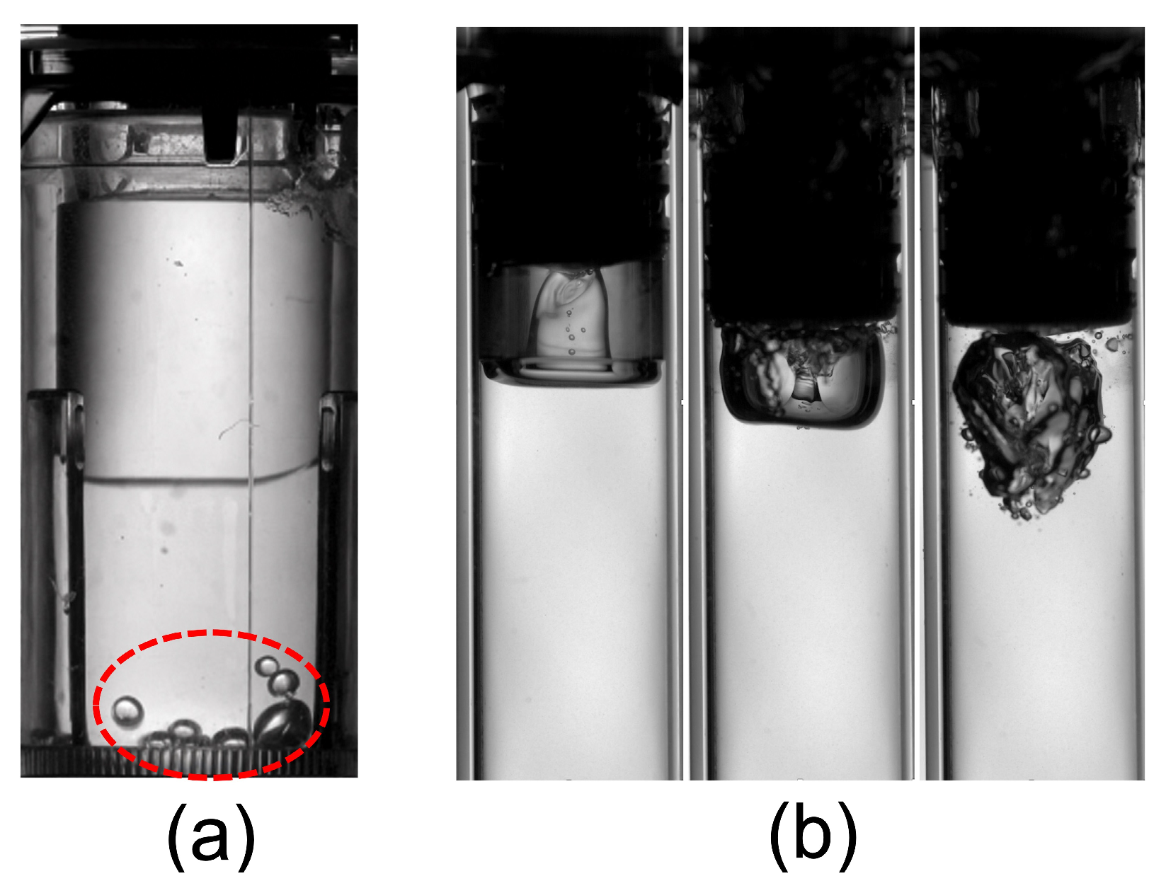 Assessment of Flexible Dosing Volumes in an Existing Spring-Driven ...