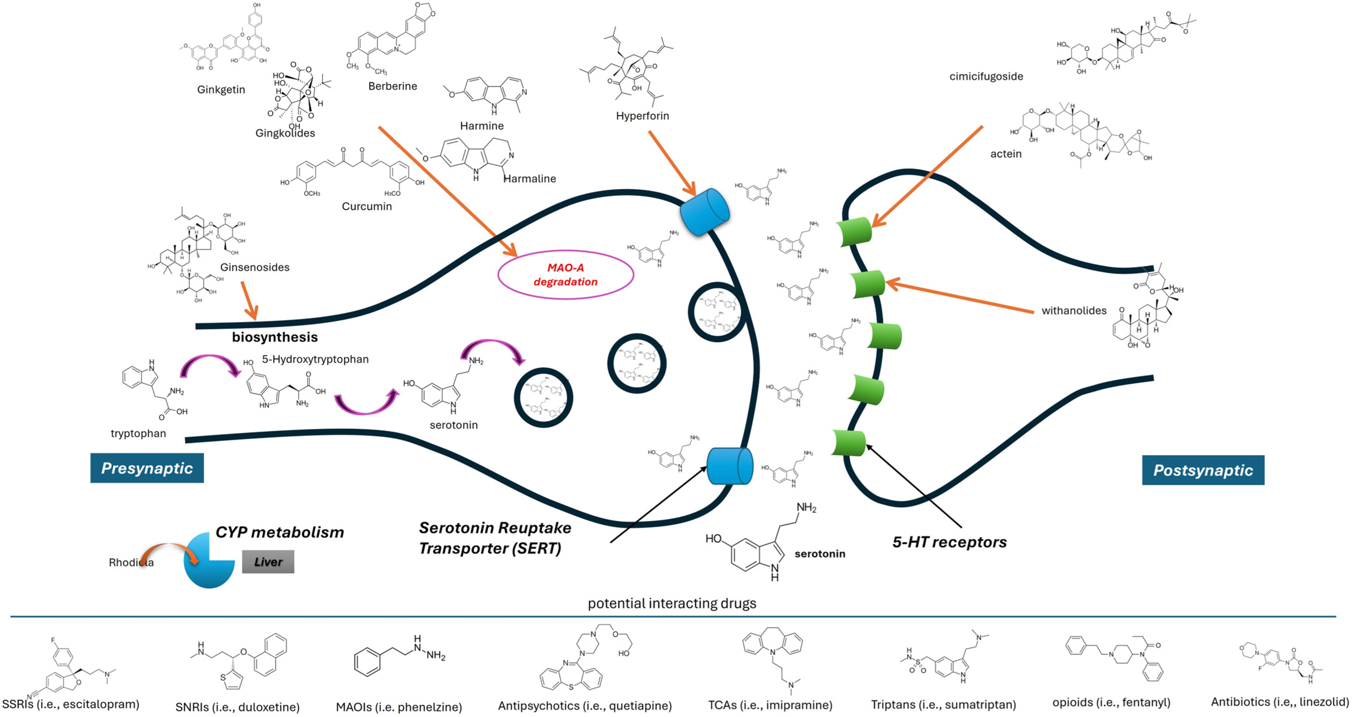 Pharmacoepidemiological Data on Drug–Herb Interactions: Serotonin ...