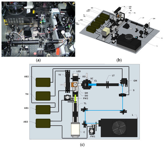 Photonics | Free Full-Text | 3D Volume Rendering of Invertebrates Using ...