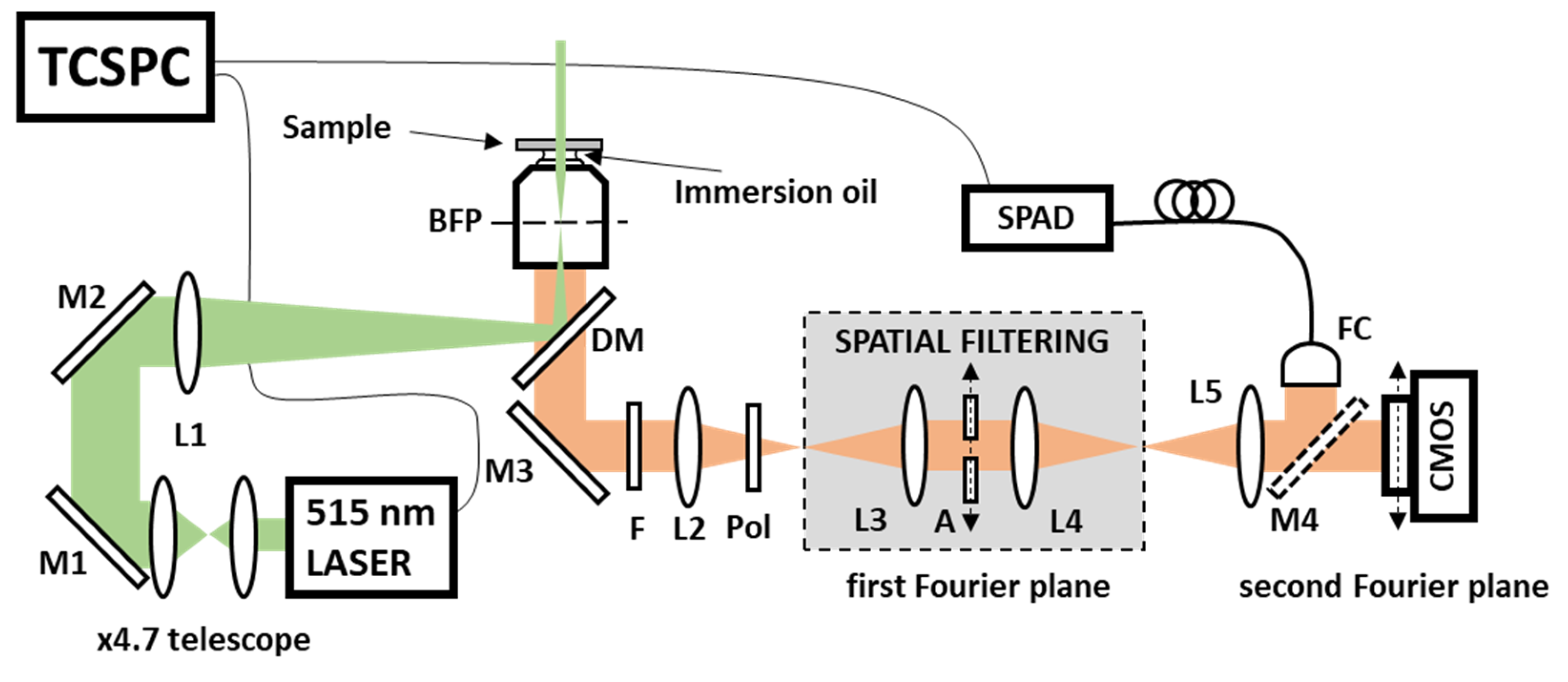 Spatially Filtered Back Focal Plane Imaging for Directional ...