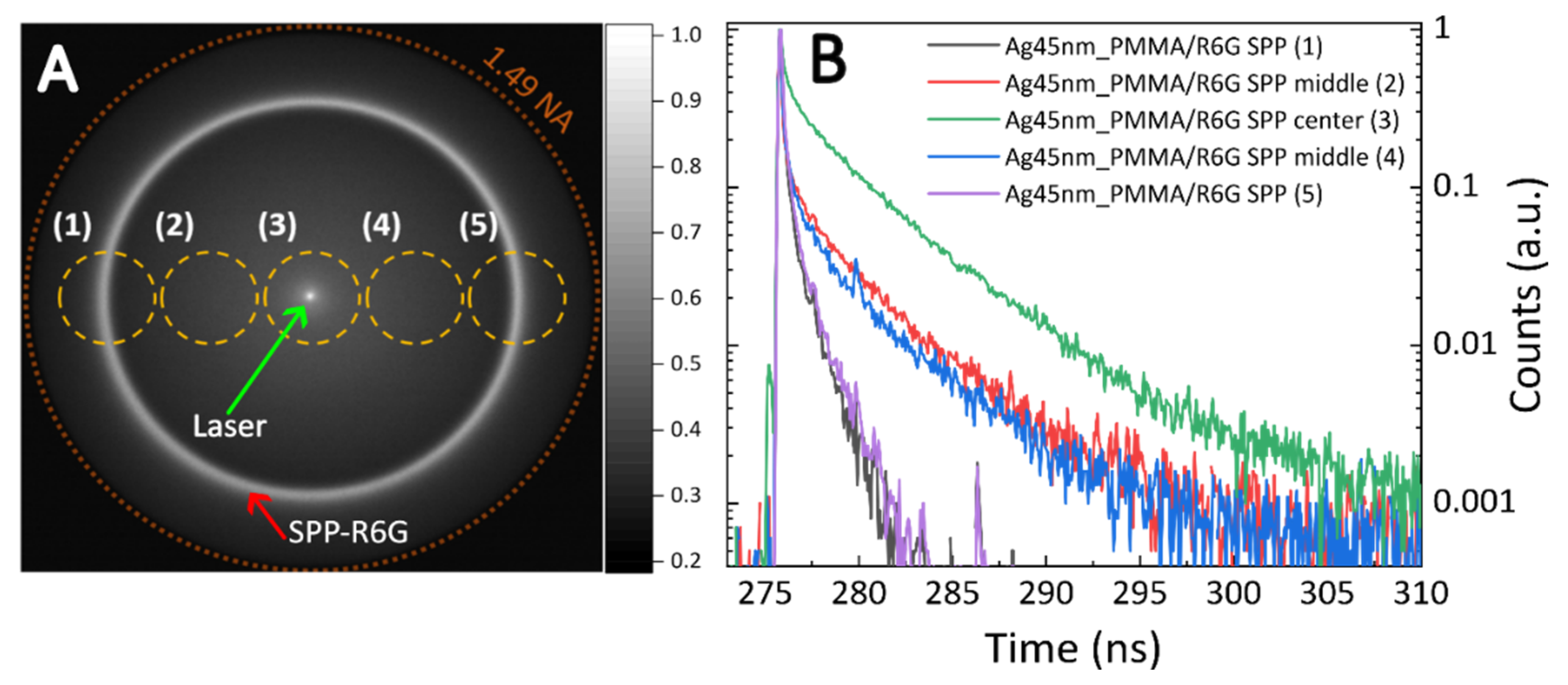 Spatially Filtered Back Focal Plane Imaging for Directional ...