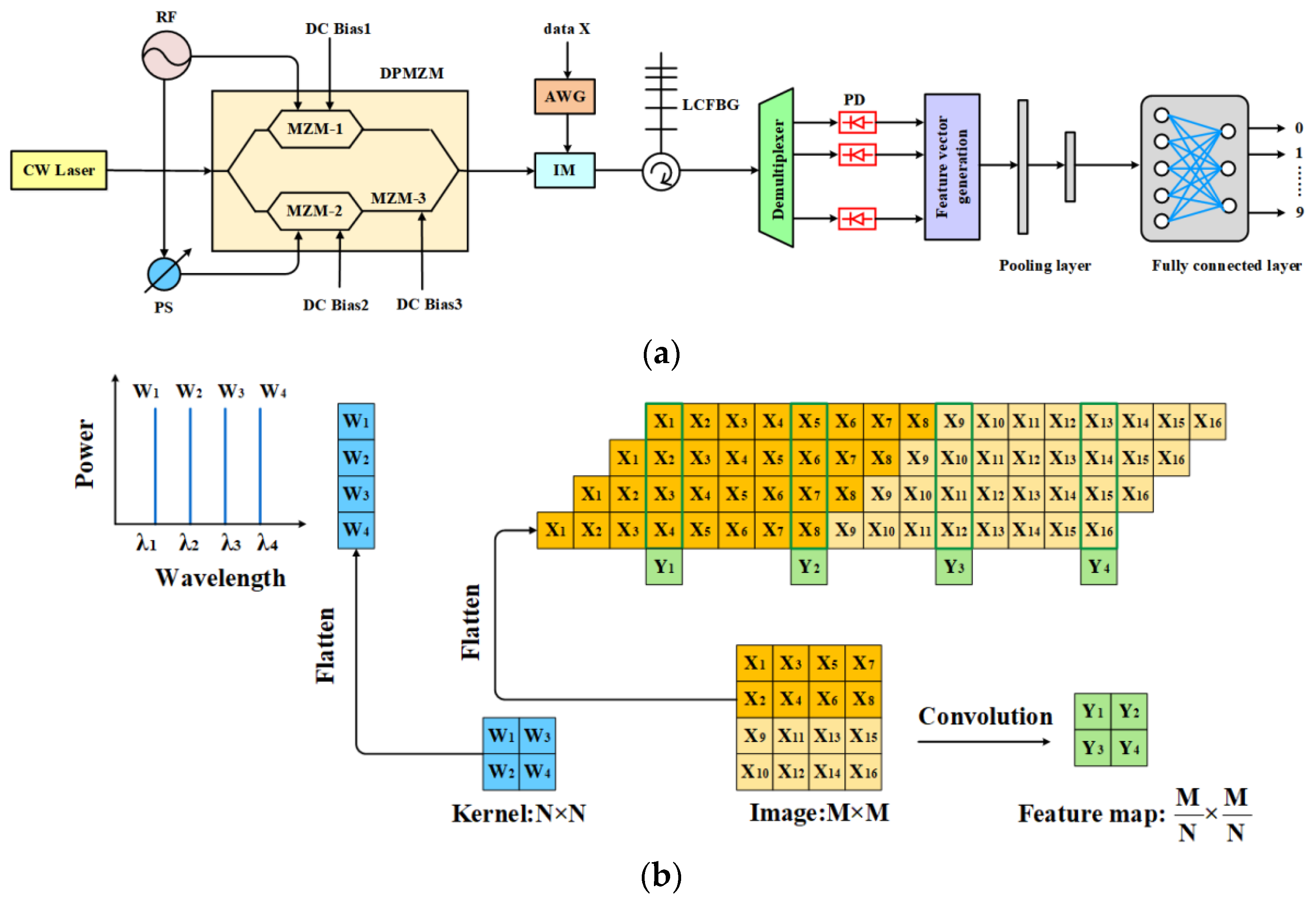 A Flexible Photonic Convolution Processor Based on a Tunable Electro-Optic Frequency Comb