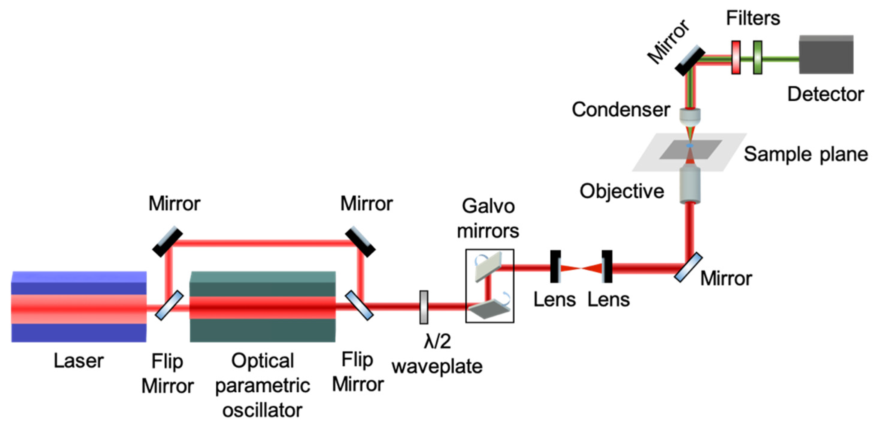 Shell–Core Structural Anisotropy in Starch Granules Probed by ...