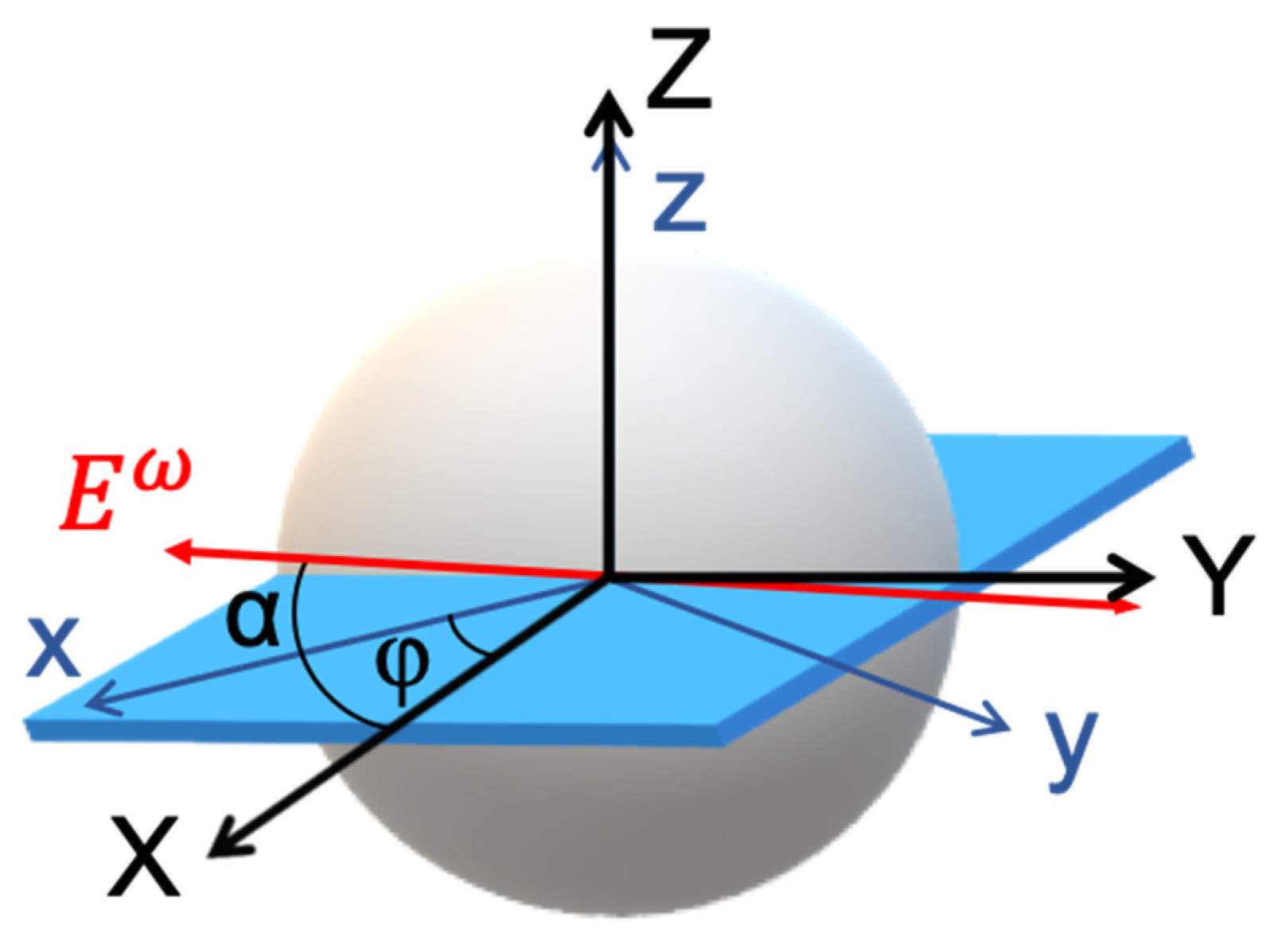 Shell–Core Structural Anisotropy in Starch Granules Probed by ...