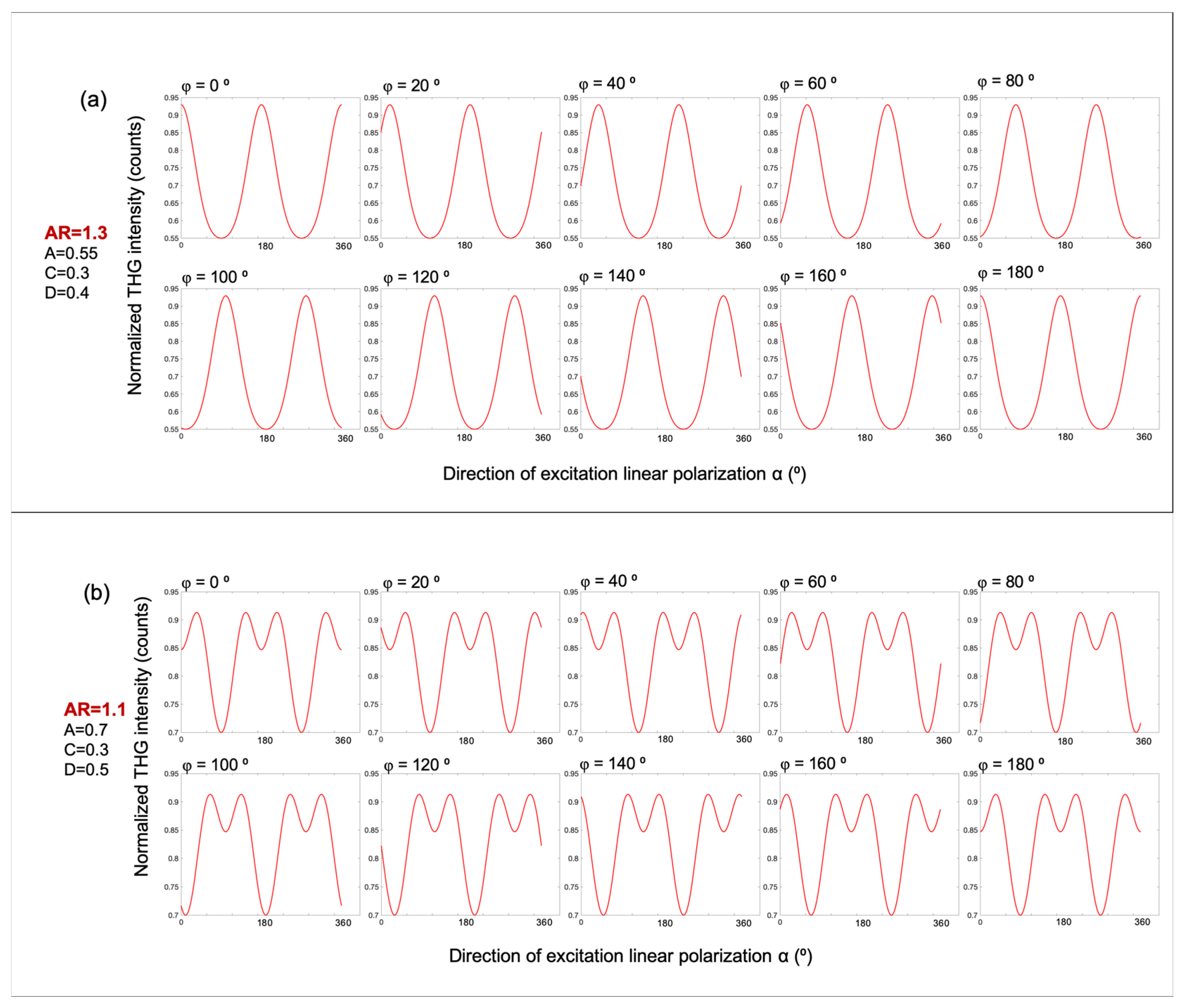 Shell–Core Structural Anisotropy in Starch Granules Probed by ...