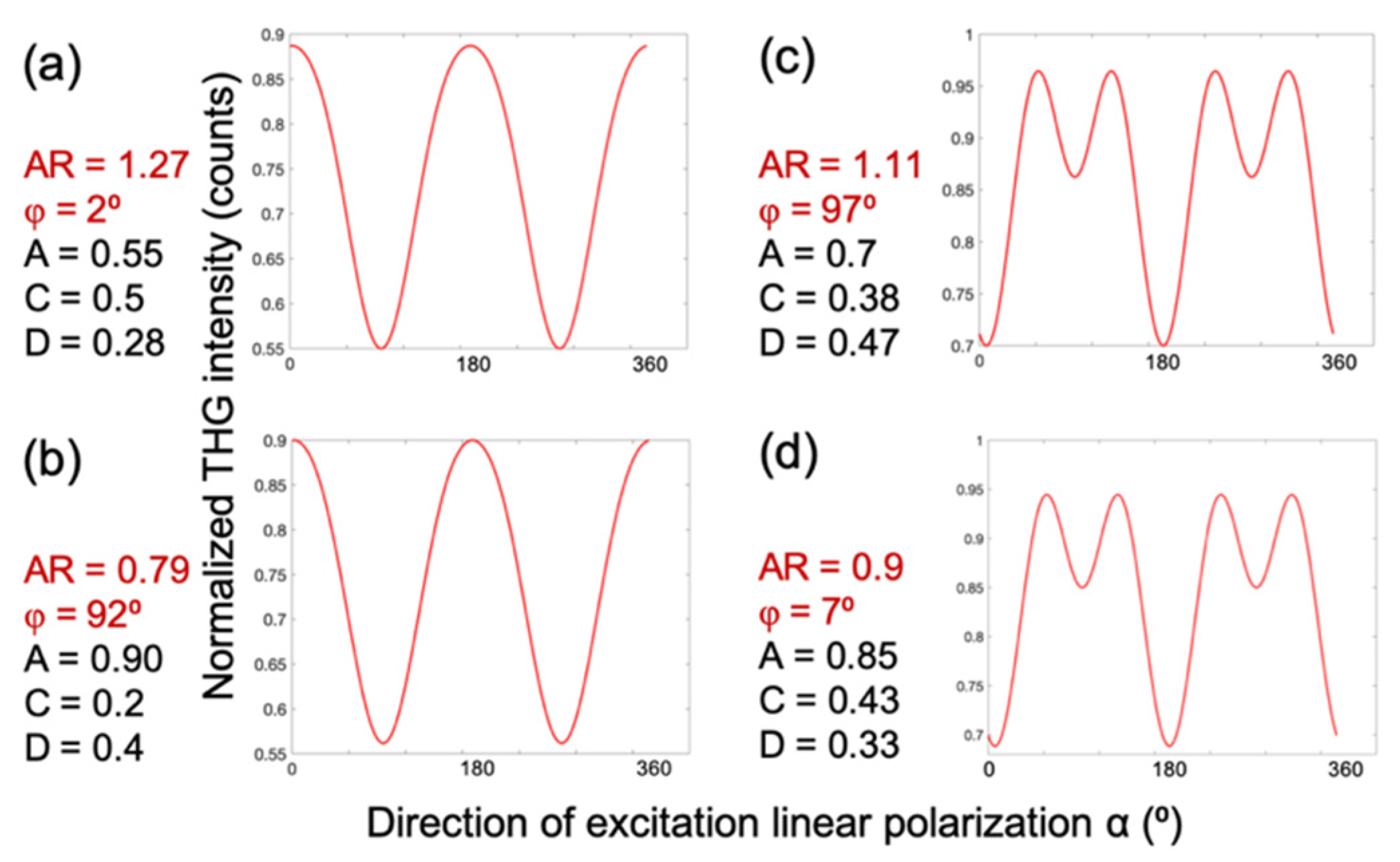 Shell–Core Structural Anisotropy in Starch Granules Probed by ...