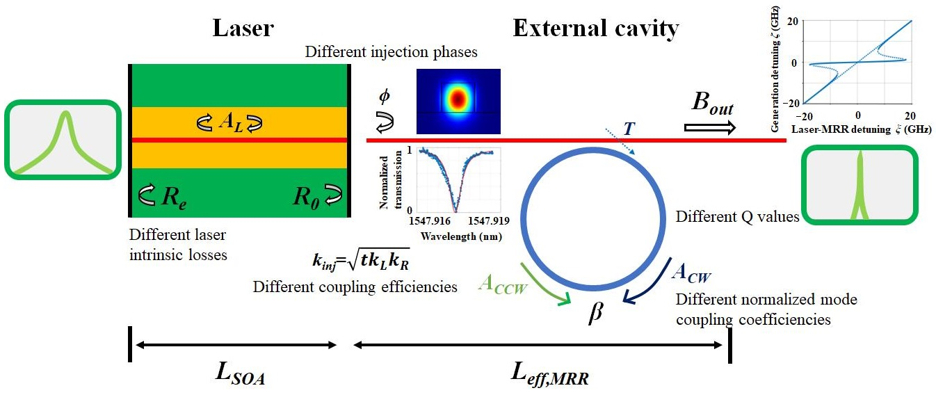 Efficiency of Self-Injection Locked Lasers
