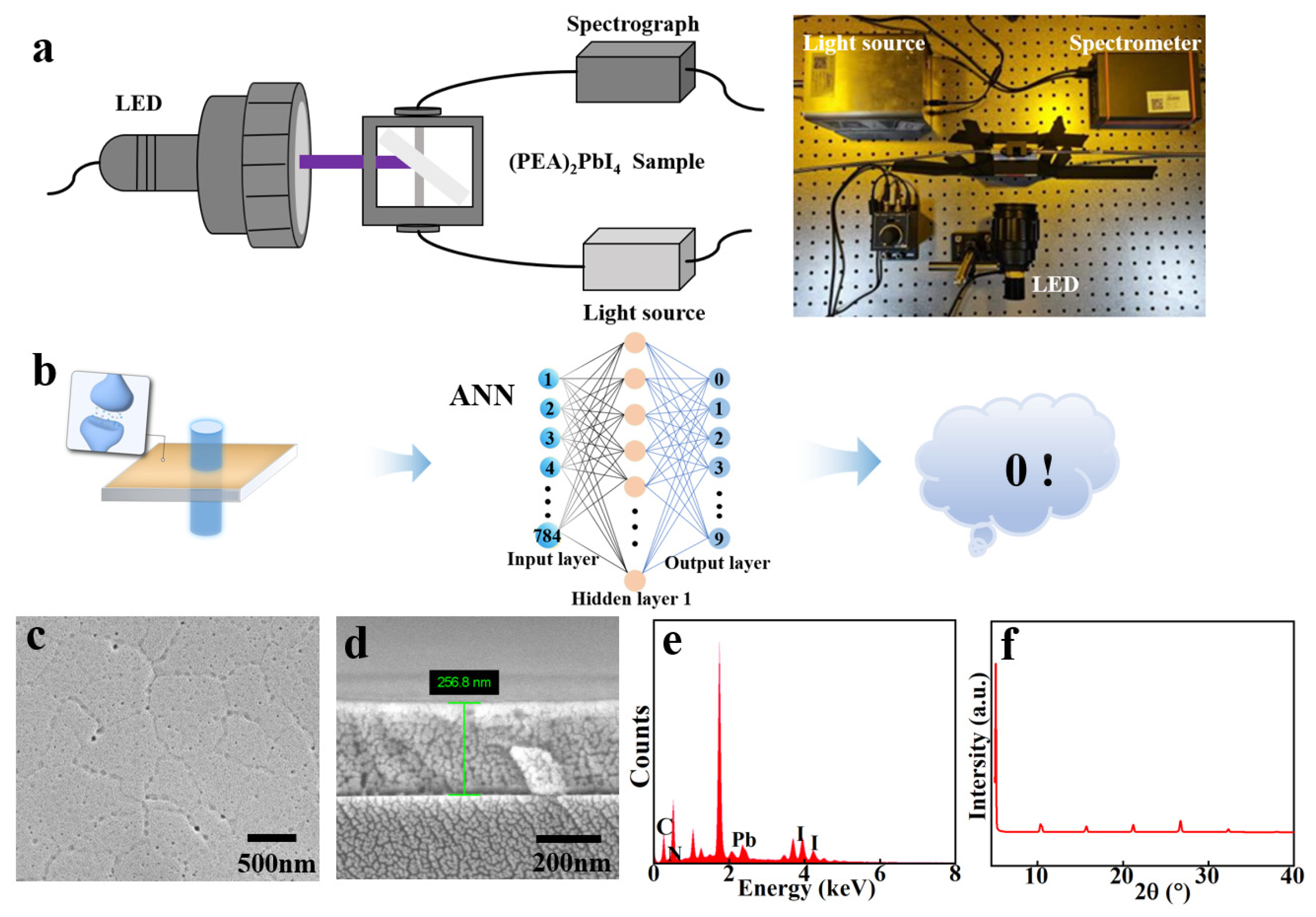 2D Perovskite All-Optical Synapses for Visual Perception Learning