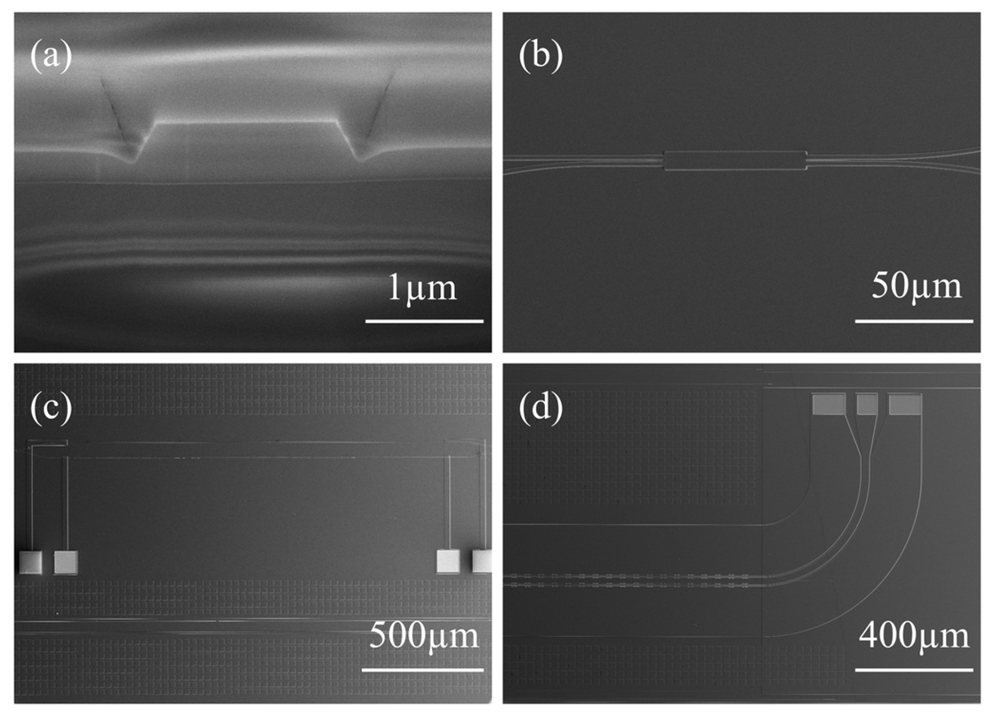 Low-Frequency Time-Domain Response of Thin-Film Lithium Niobate Electro ...