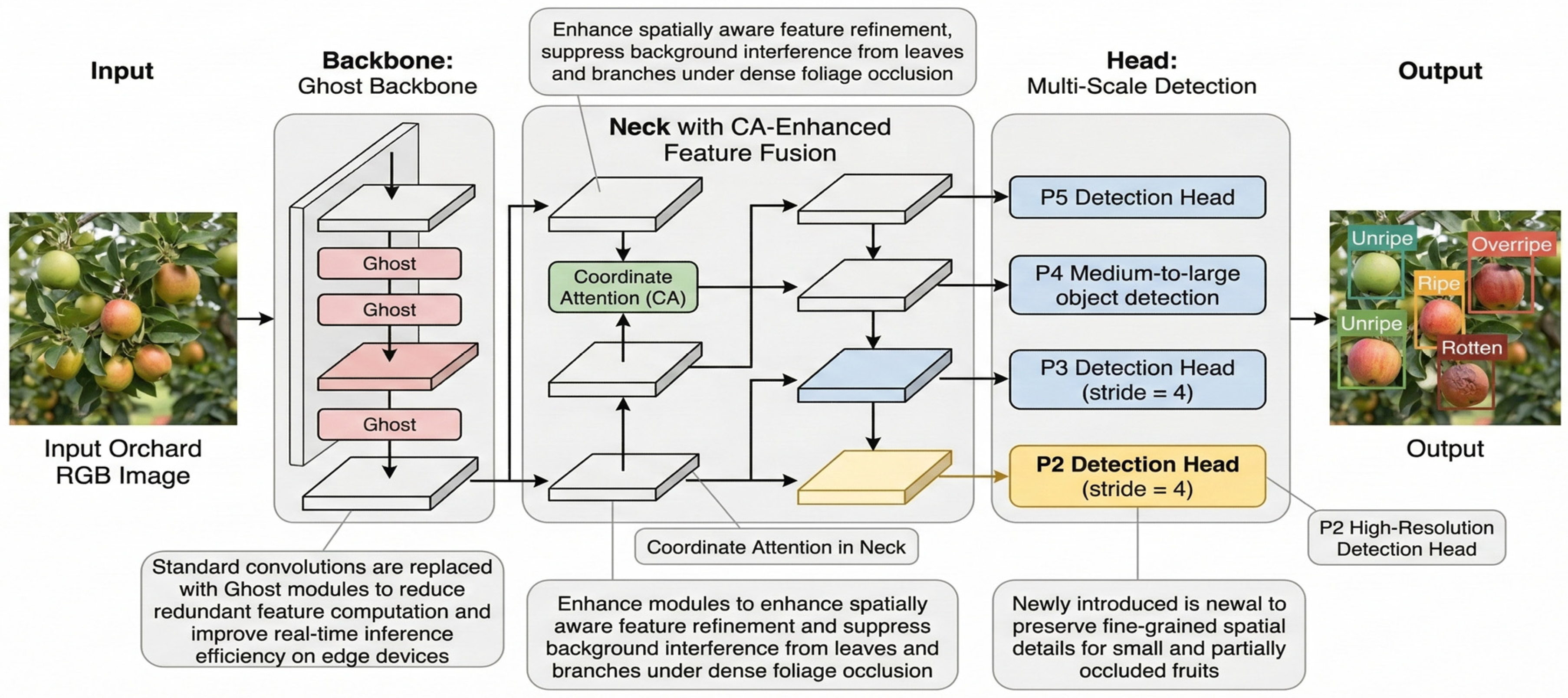Orchard-YOLO: A Robust Deep Learning Framework for Fruit Detection ...