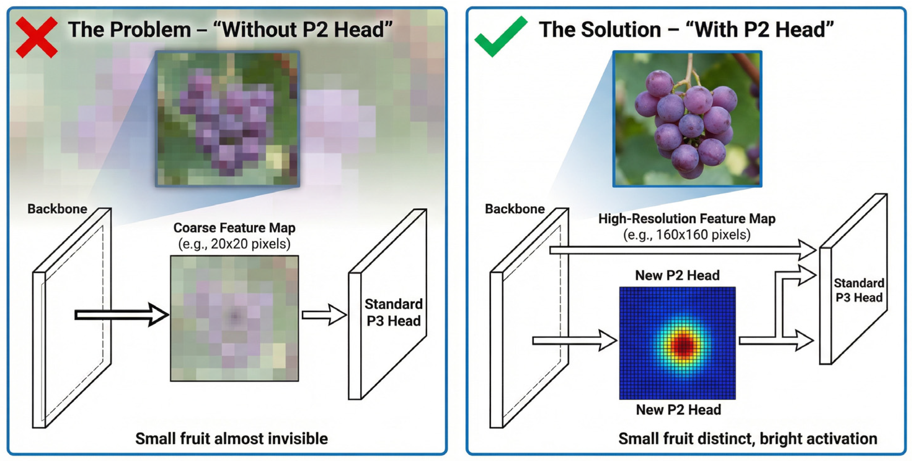 Orchard-YOLO: A Robust Deep Learning Framework for Fruit Detection ...