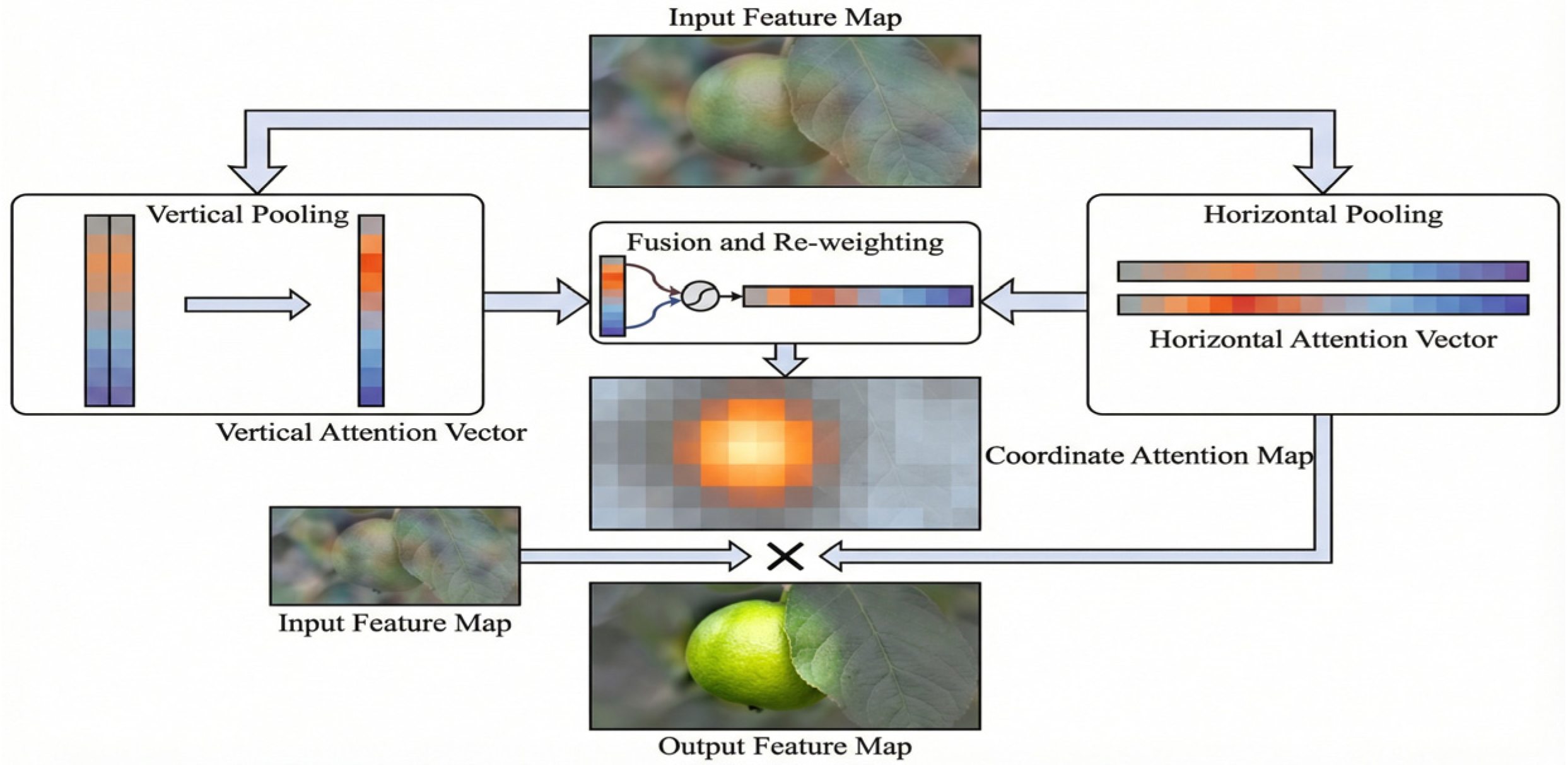Orchard-YOLO: A Robust Deep Learning Framework for Fruit Detection ...