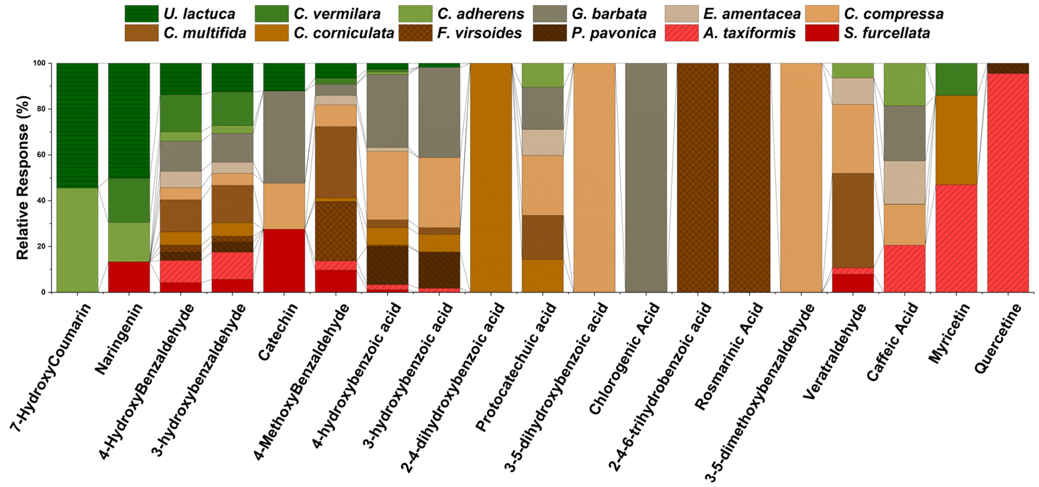 Unveiling the Metabolomic, Phytochemical and Bioactive Profile of ...